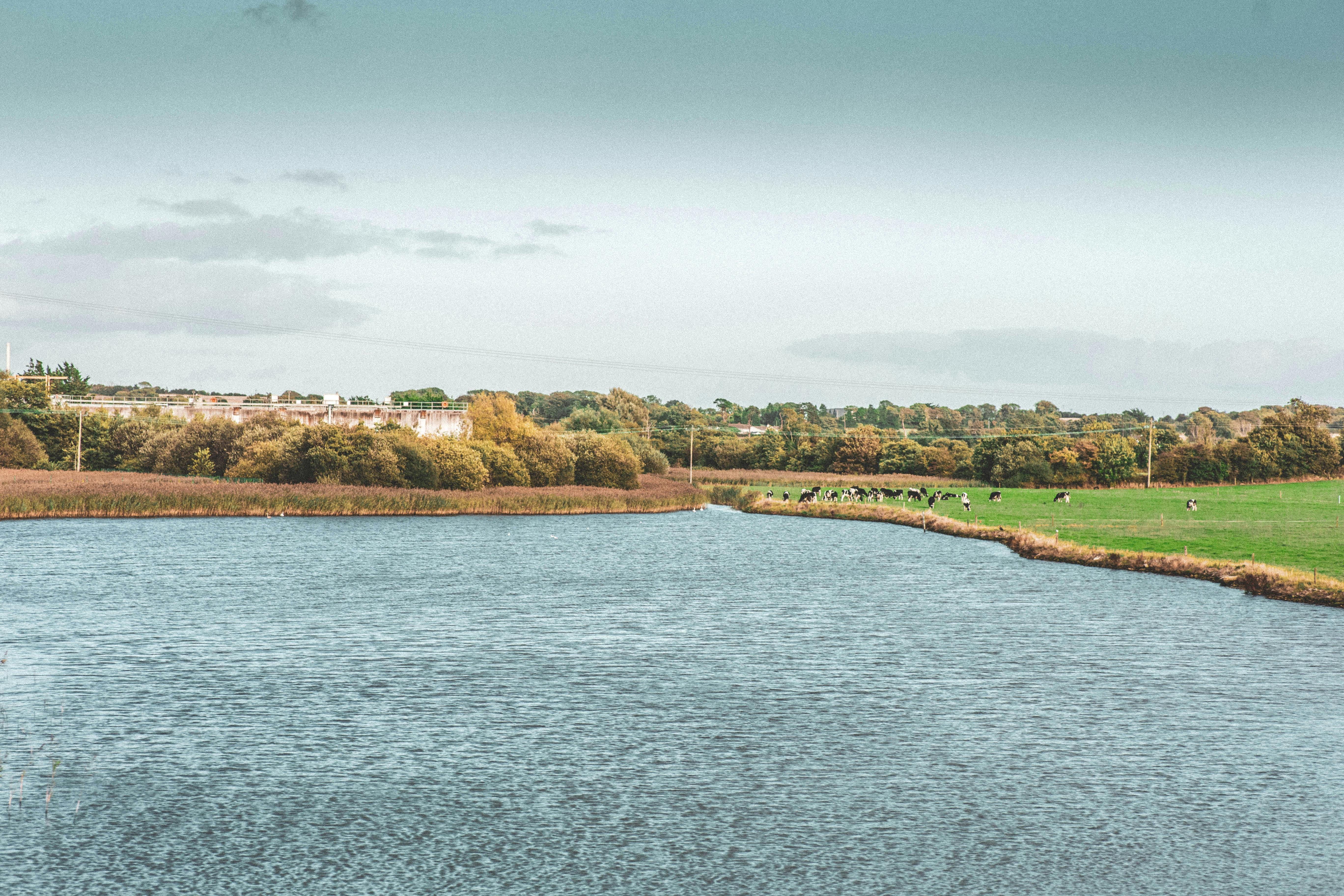 Scenic River Landscape in County Cork Ireland · Free Stock Photo