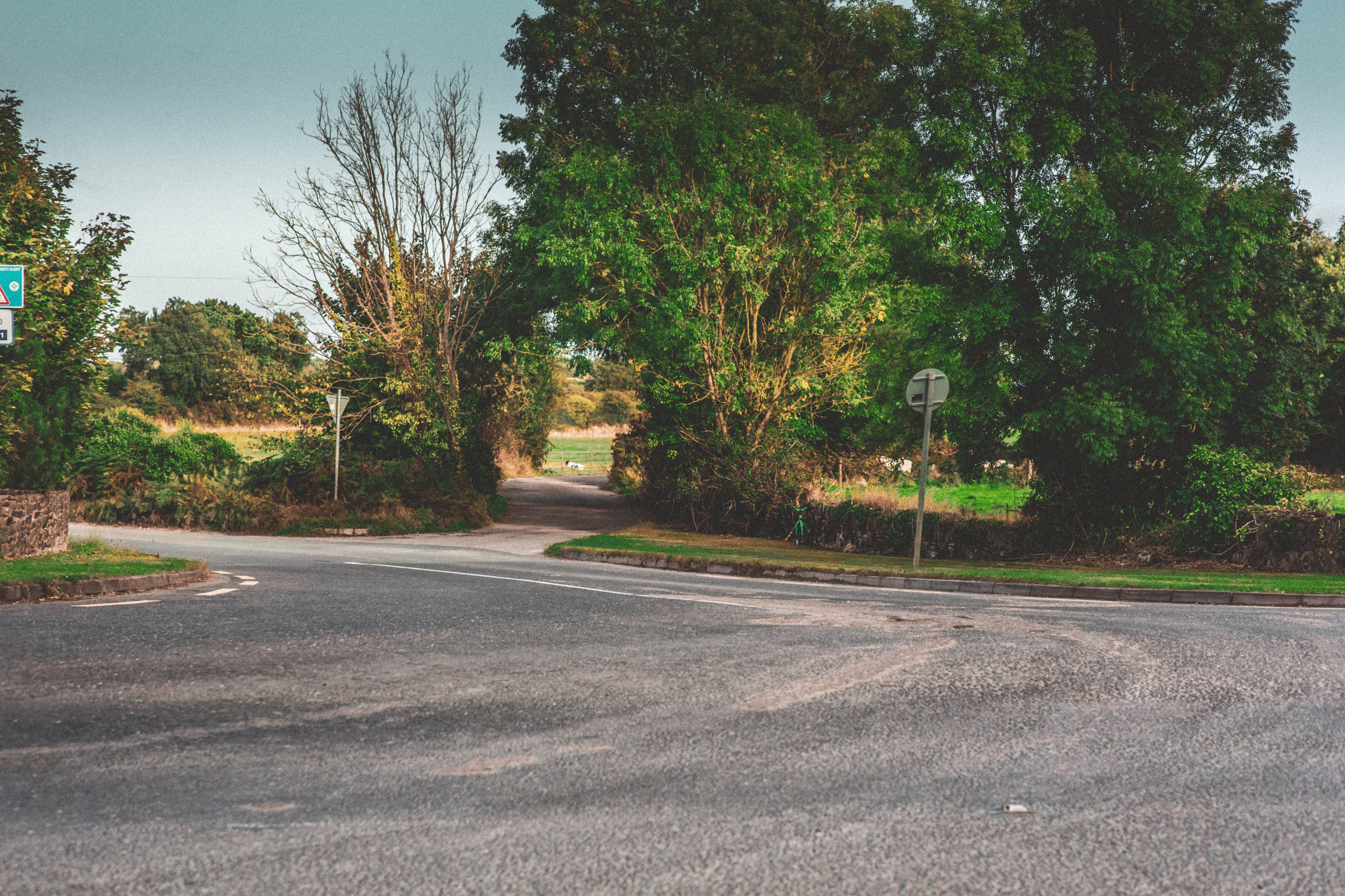 Scenic Country Road in Cork, Ireland · Free Stock Photo