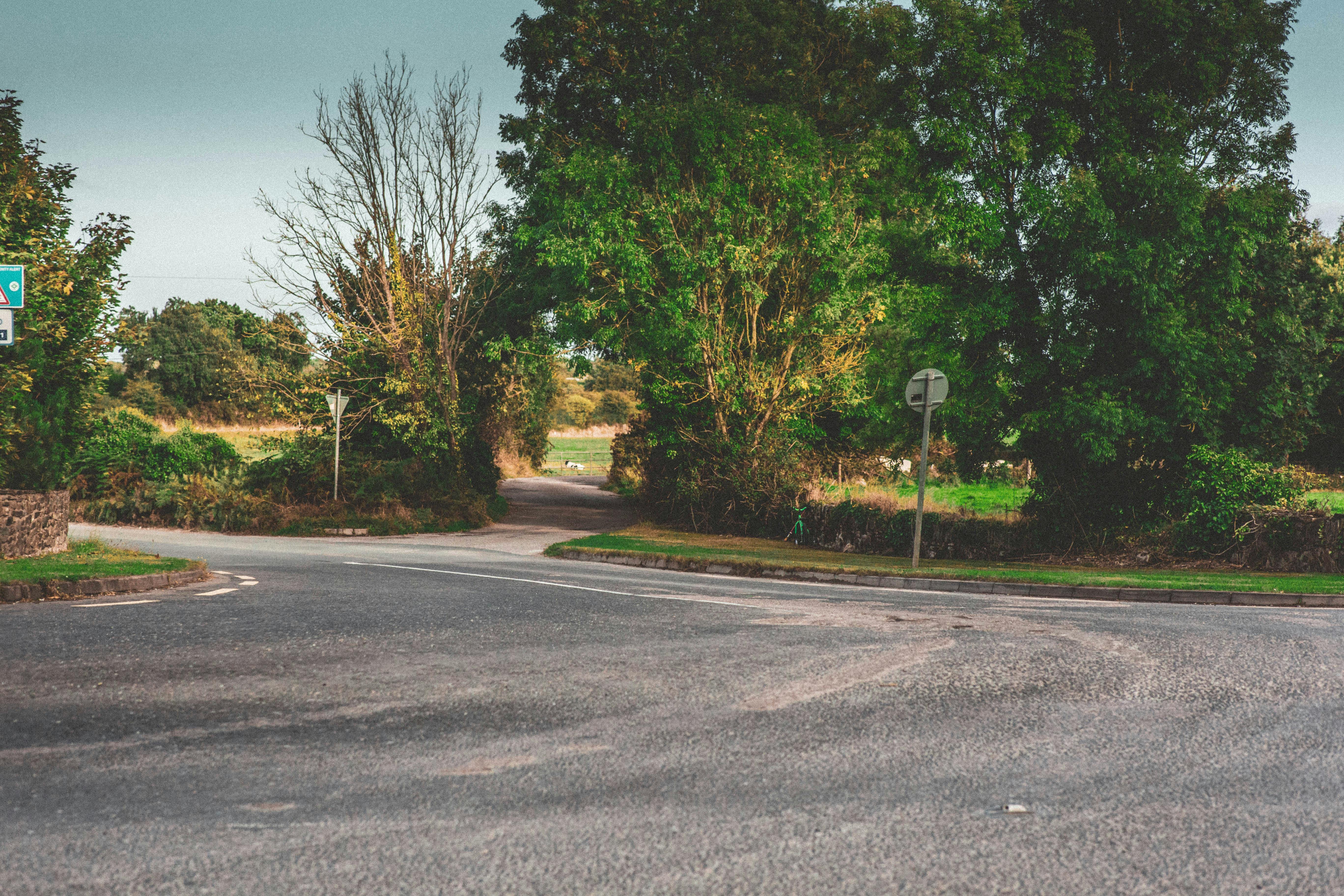 Scenic Country Road in Cork, Ireland · Free Stock Photo
