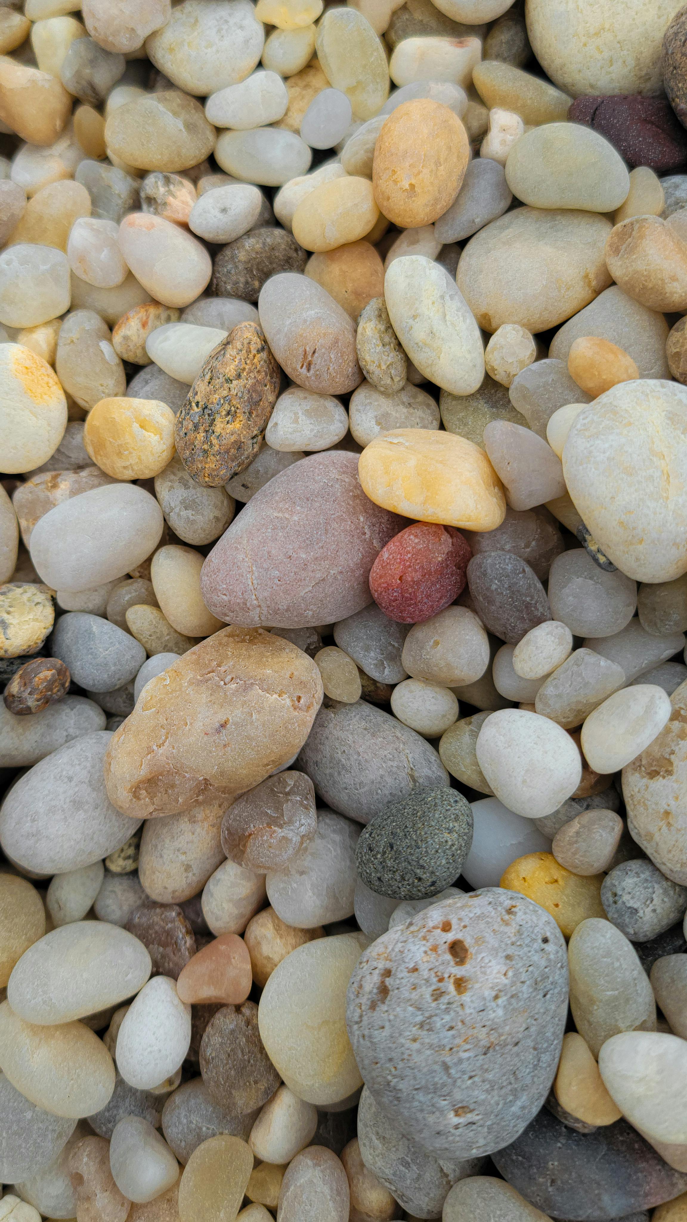 Colorful Pebbles on a Beach Shoreline · Free Stock Photo