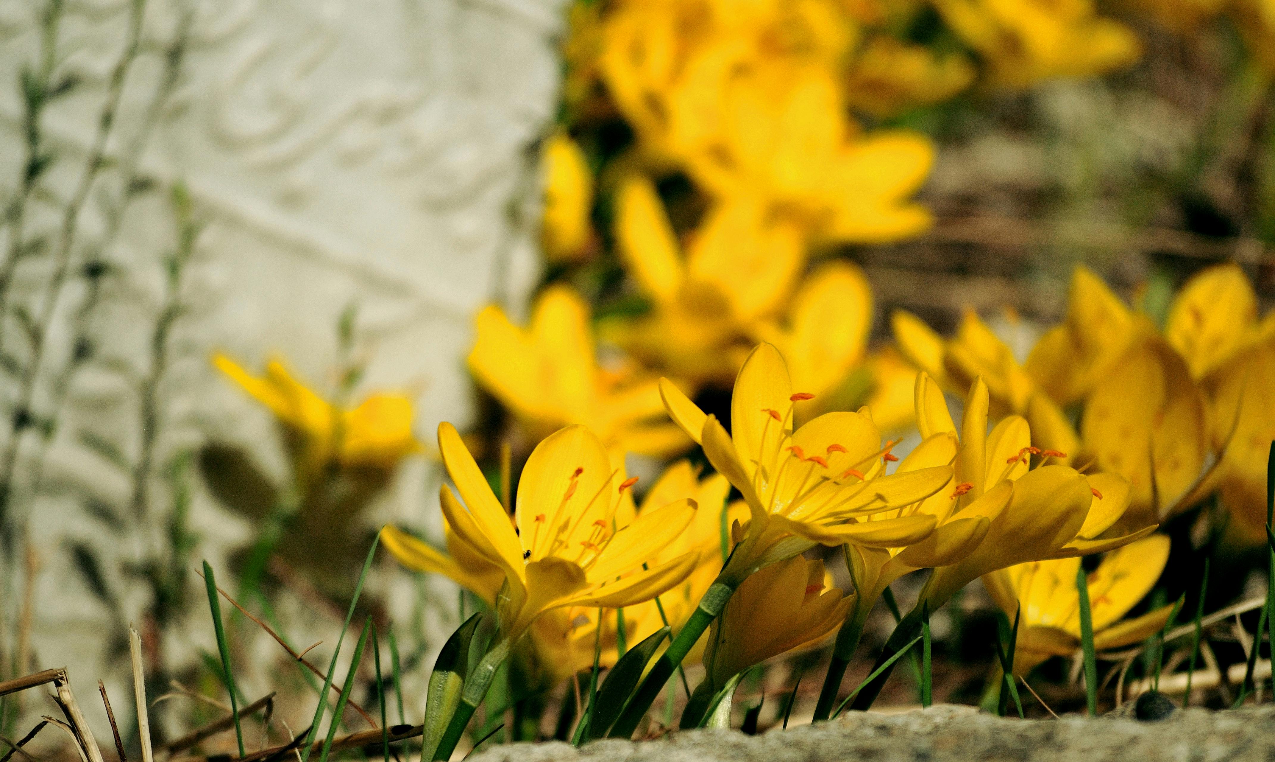 Eski Pencereler Photos, Download The BEST Free Eski Pencereler Stock ...