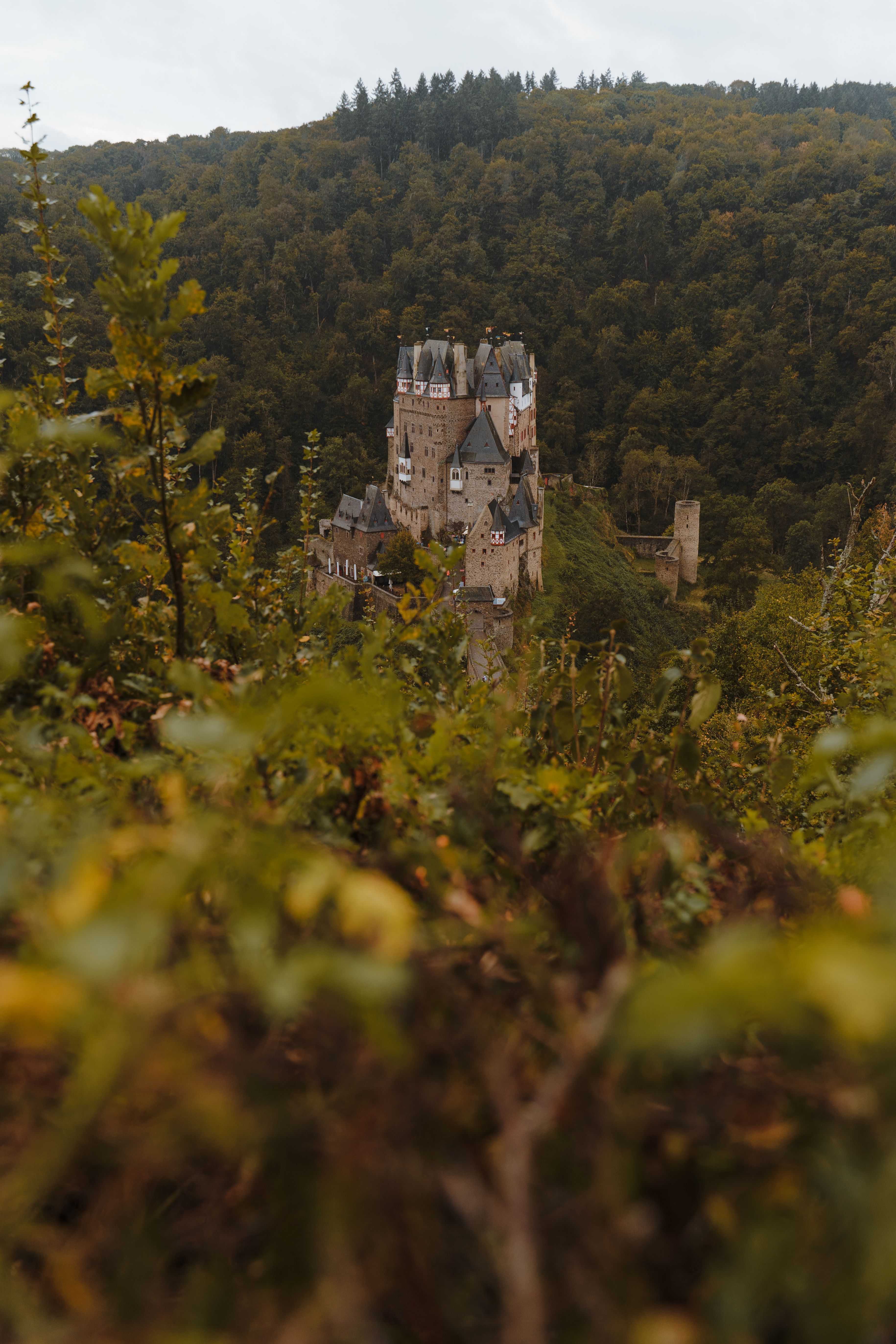 Enchanting Medieval Castle in Lush Forest · Free Stock Photo
