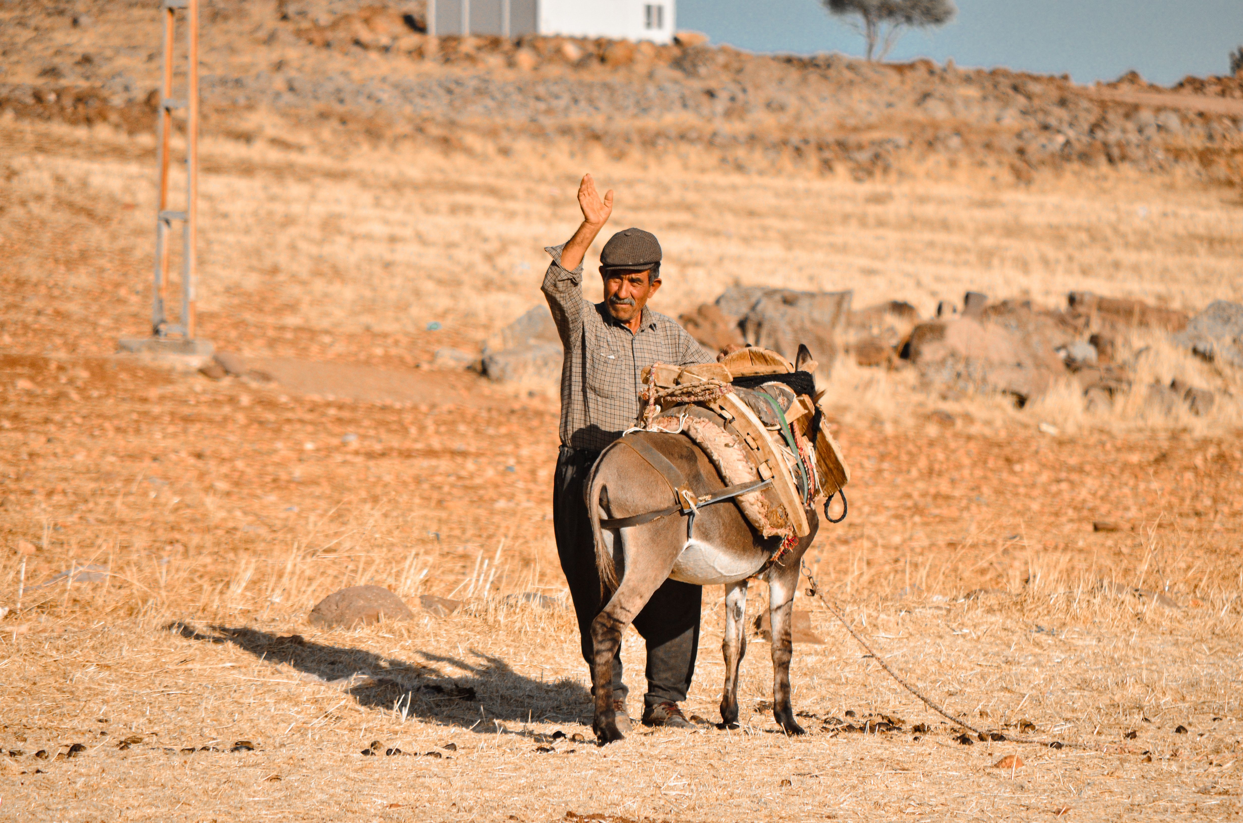 Man with Donkey in Rural Türkiye Landscape · Free Stock Photo