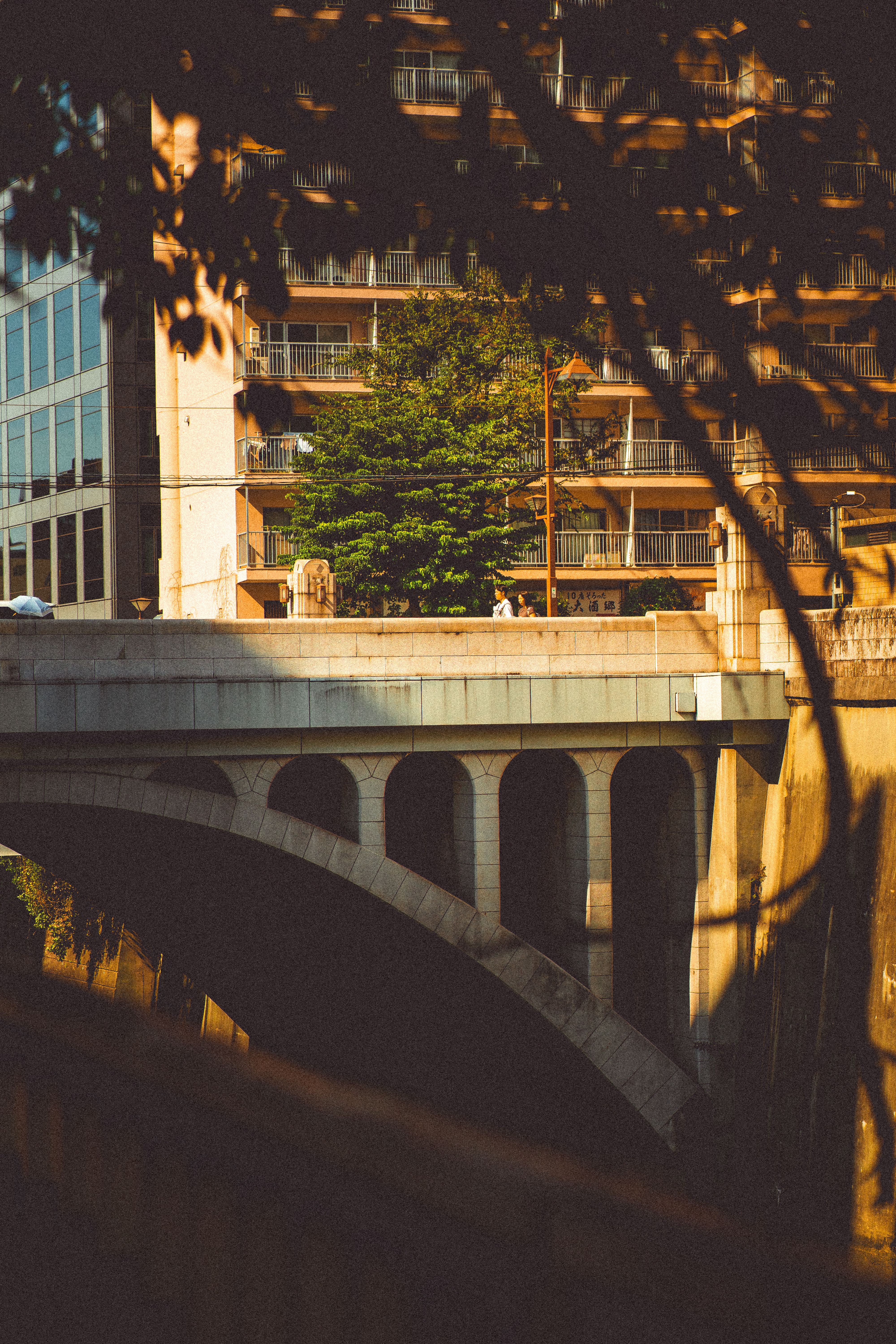 Urban Bridge and Building in Afternoon Light, Tokyo · Free Stock Photo