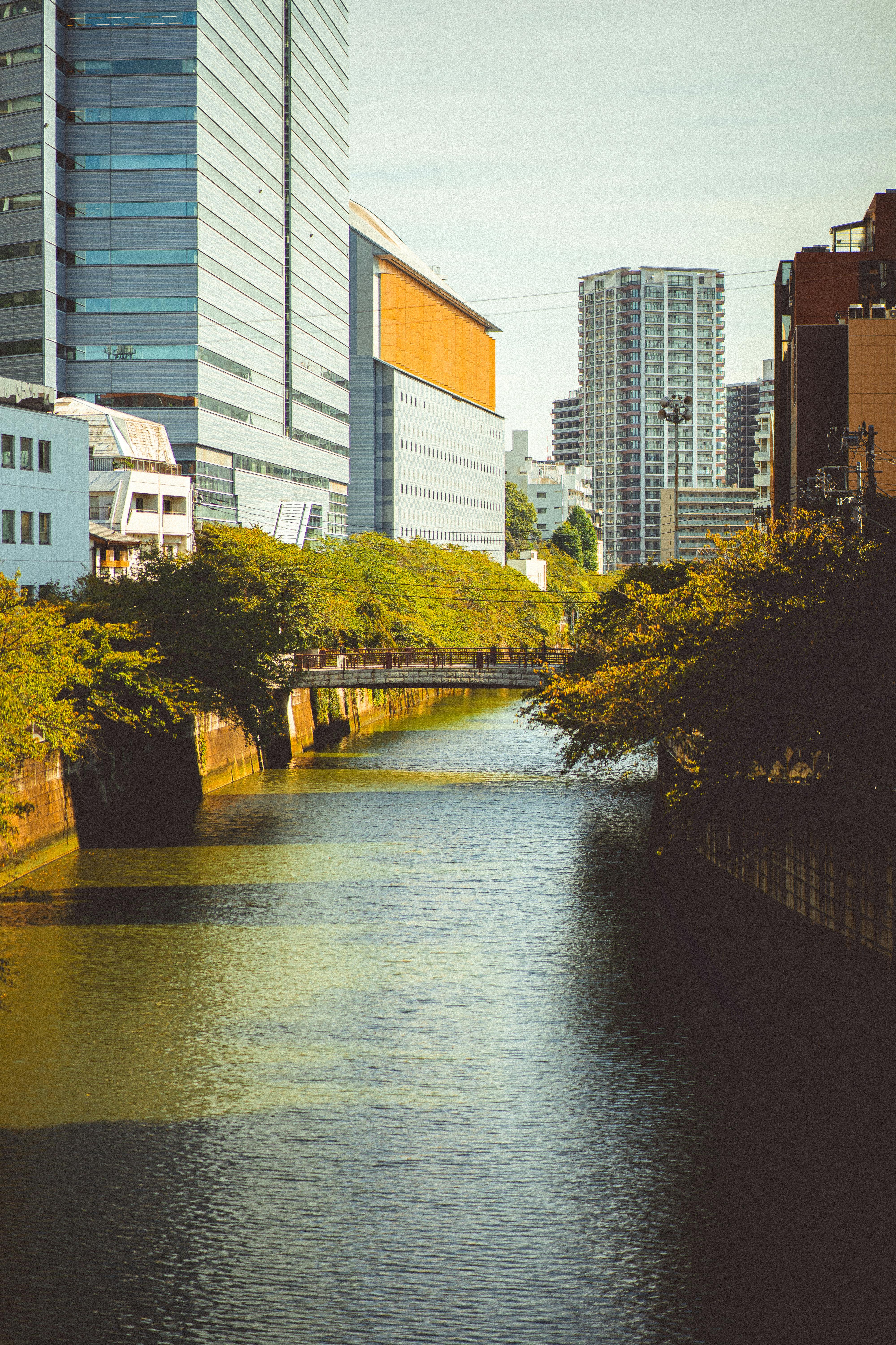 Vista Panorámica Del Río Meguro De Tokio En Verano · Foto de stock gratuita