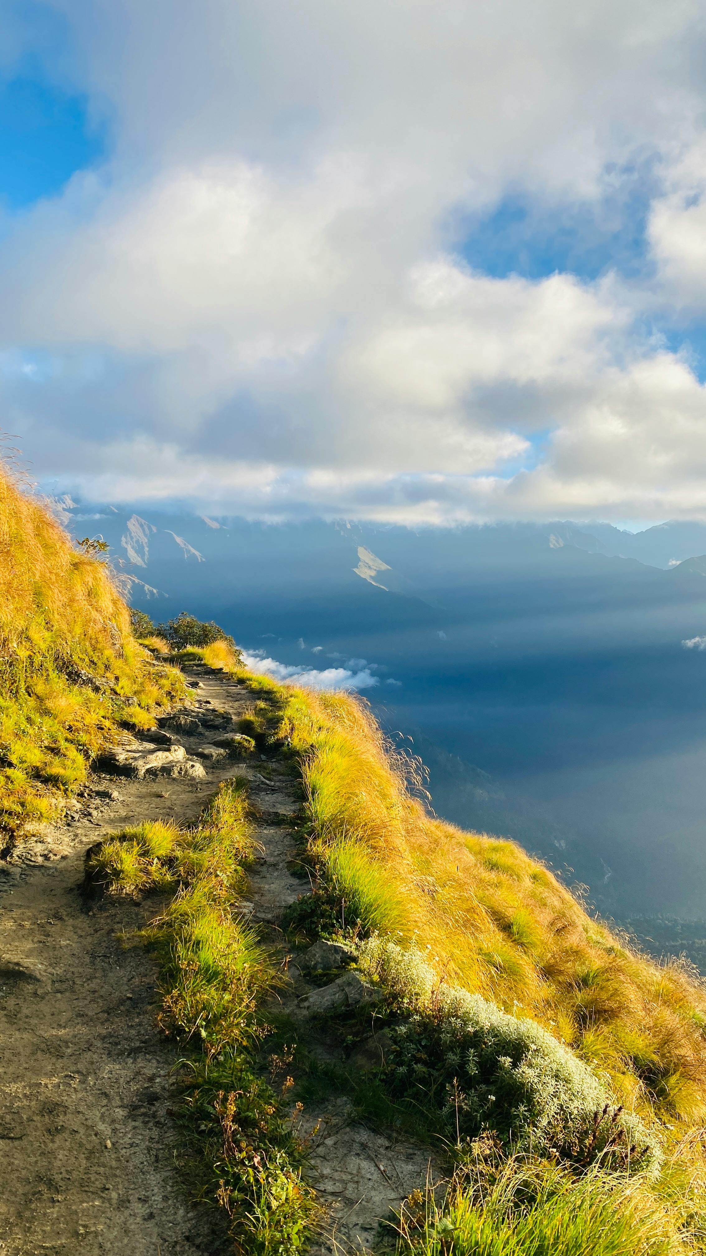Scenic Mountain Trail in Early Morning Light · Free Stock Photo