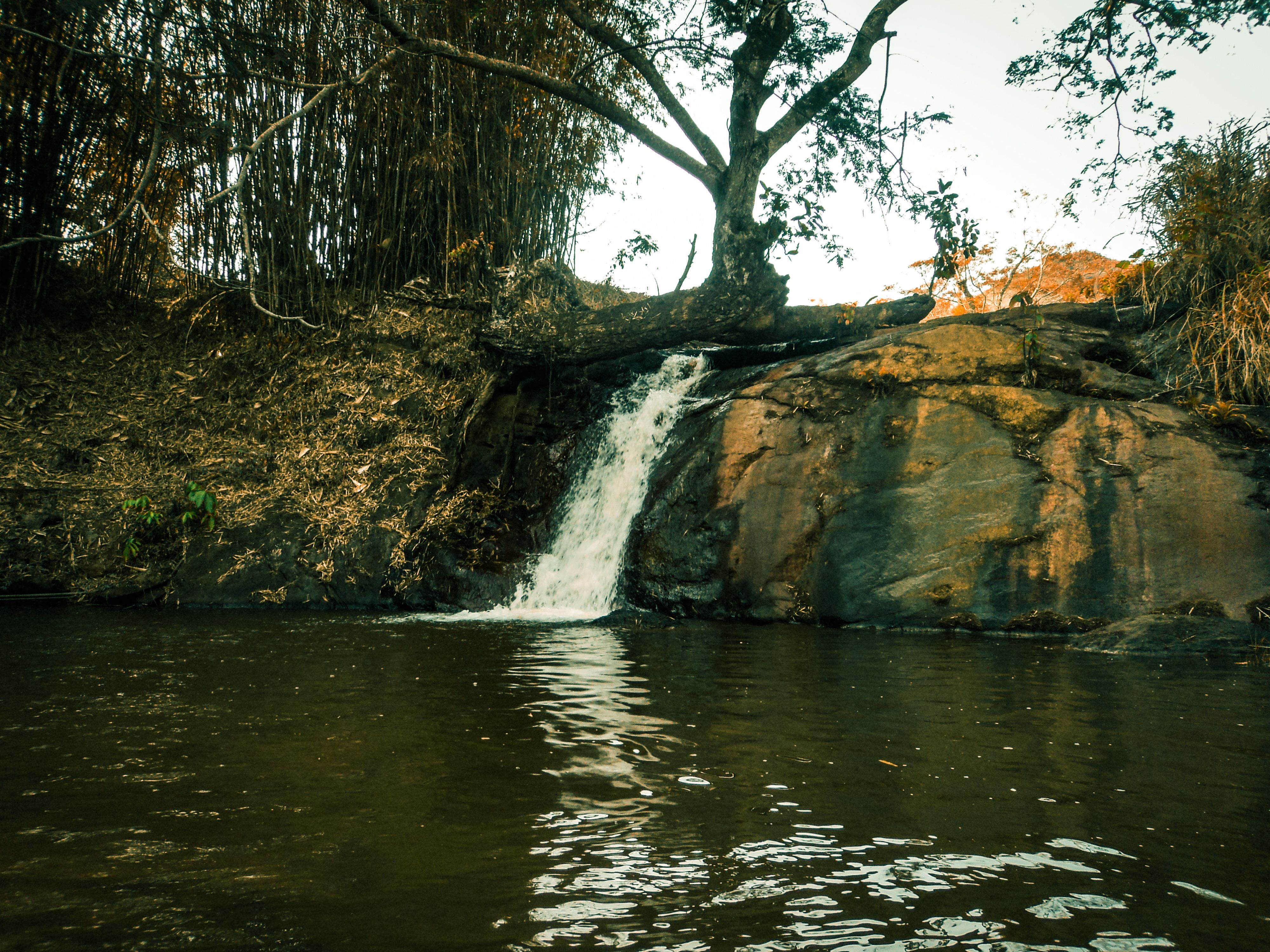 Serene Waterfall in a Forest Setting · Free Stock Photo
