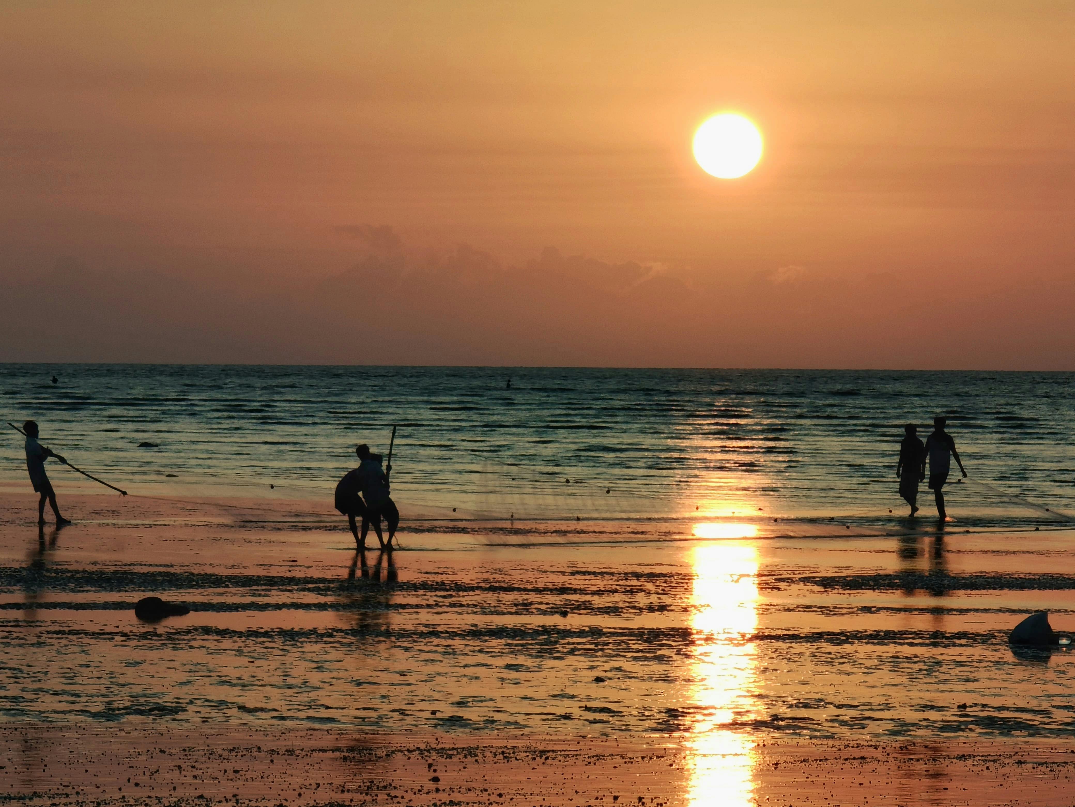 Silhouetted beach sunset fishing scene · Free Stock Photo