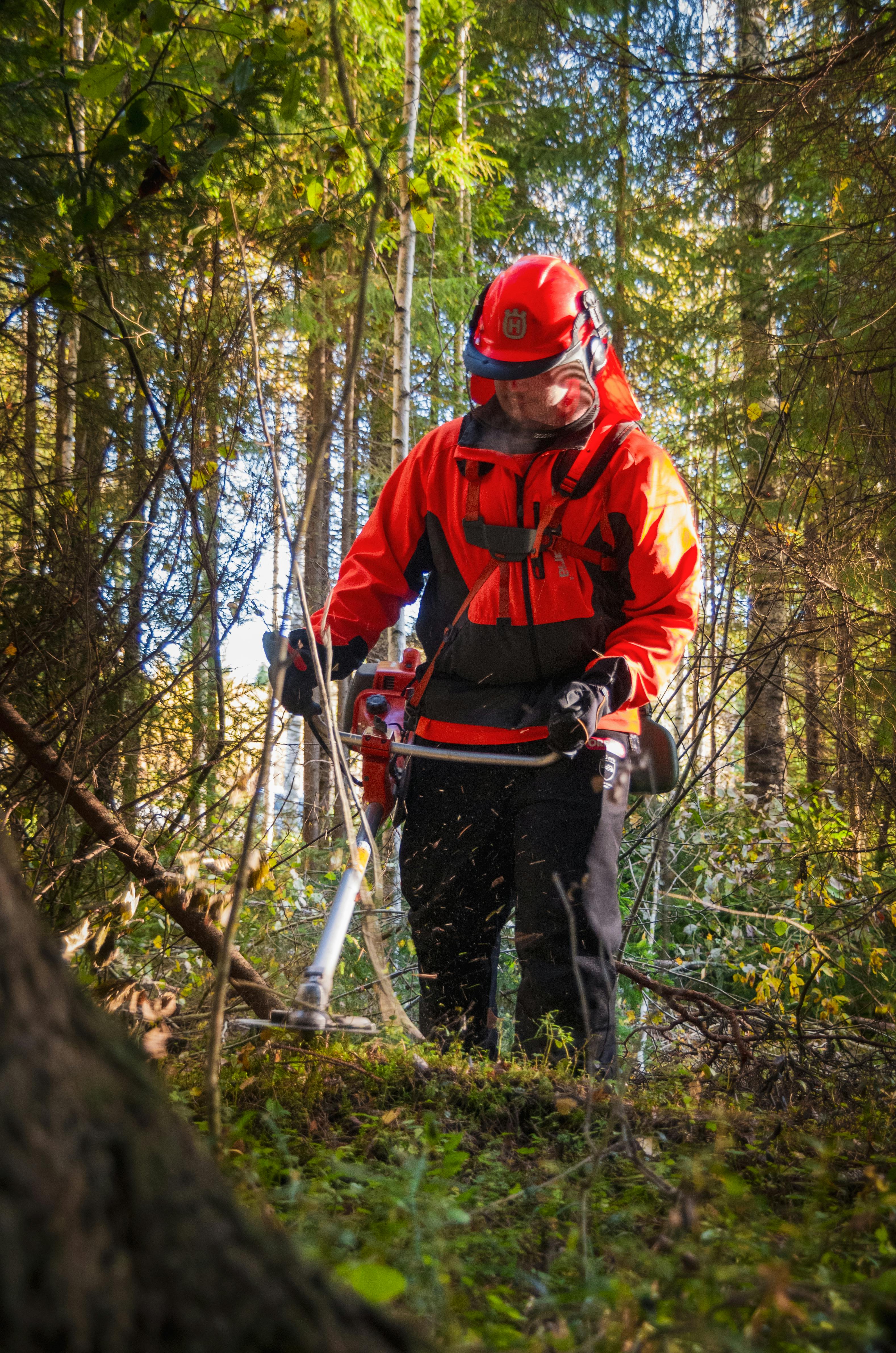 Melhores imagens de Kuva สี สีเทอร์ควอยซ์ · Download 100% grátis ...