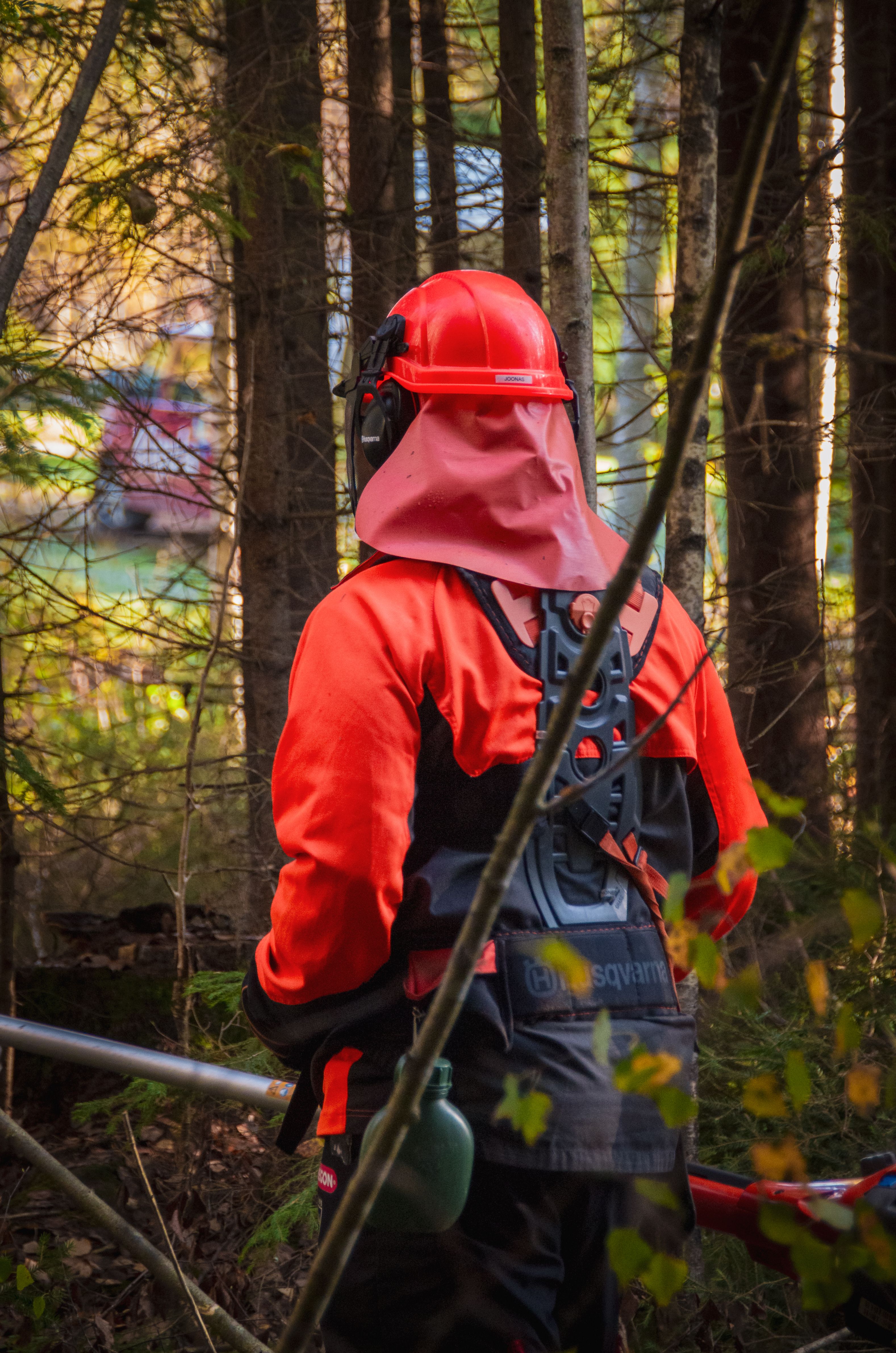 Trabalhador Florestal Com Equipamento De Proteção Em Floresta ...