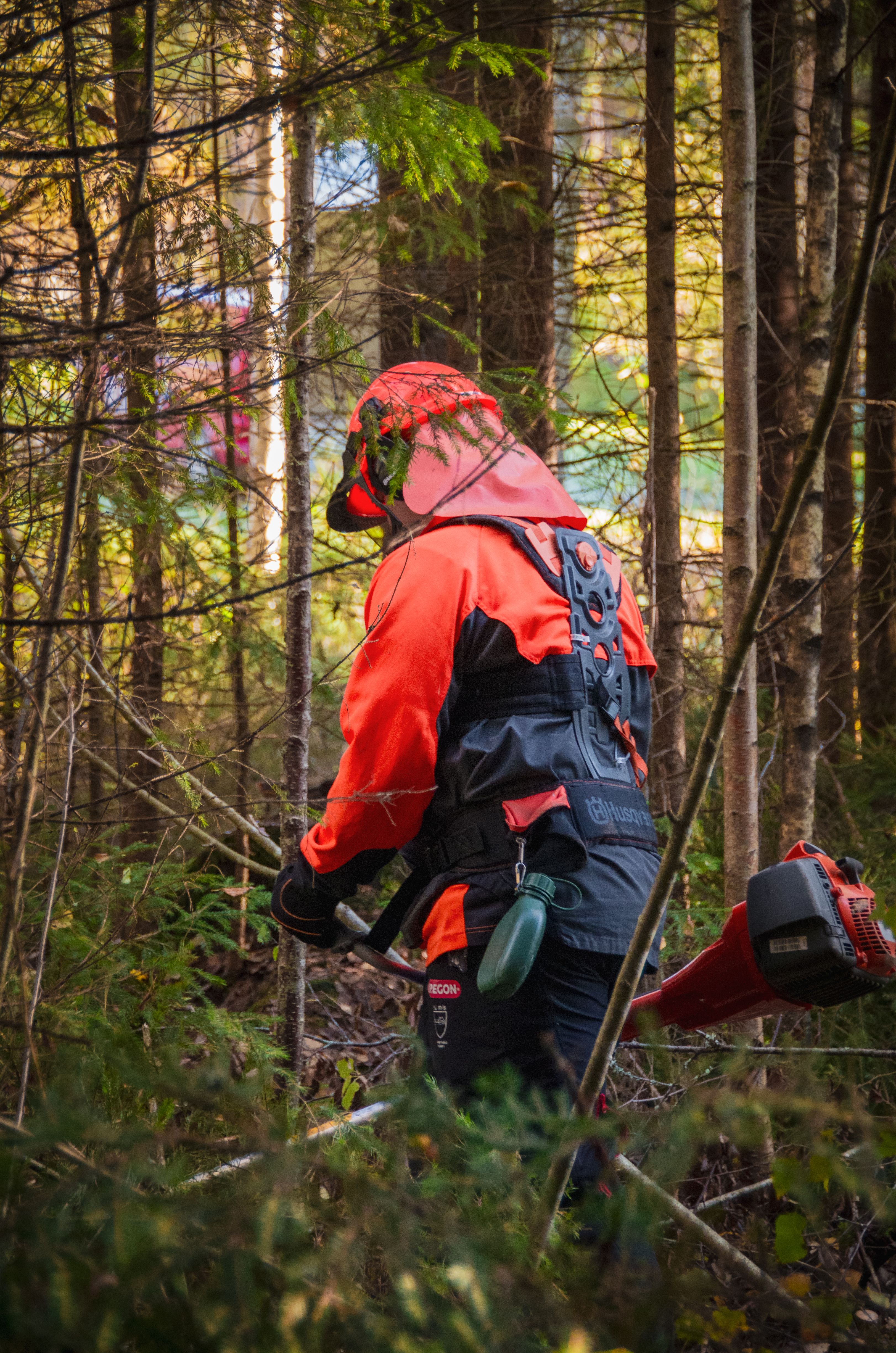 Forest Worker Clearing Underbrush in Kainuu · Free Stock Photo