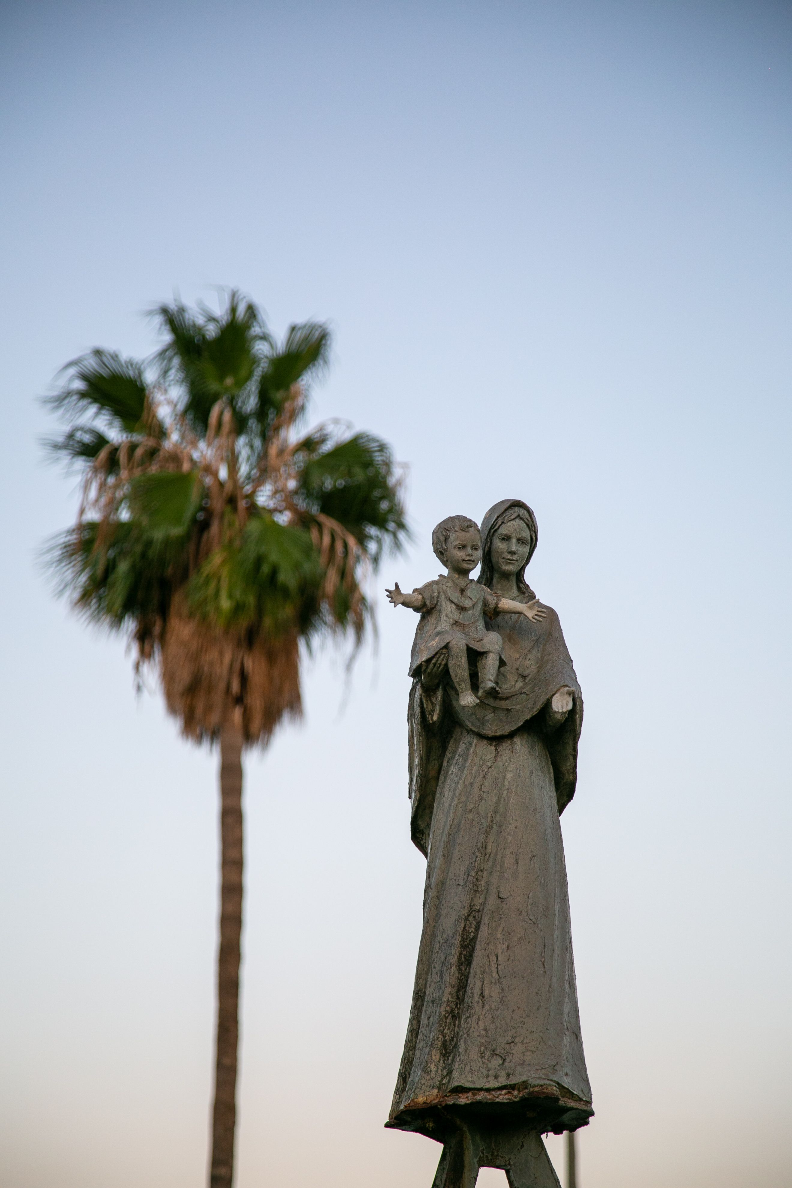 Statue of Madonna and Child with Palm Tree Backdrop · Free Stock Photo