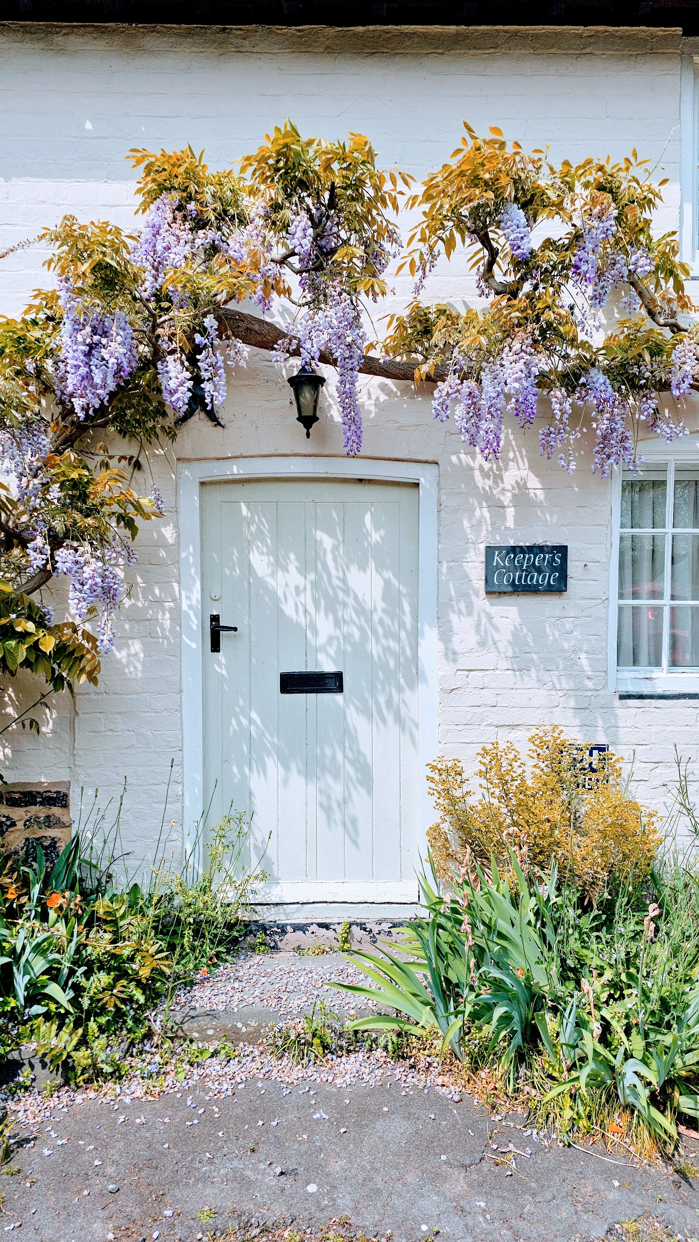 House Fragrance Photos, Download The BEST Free House Fragrance Stock ...
