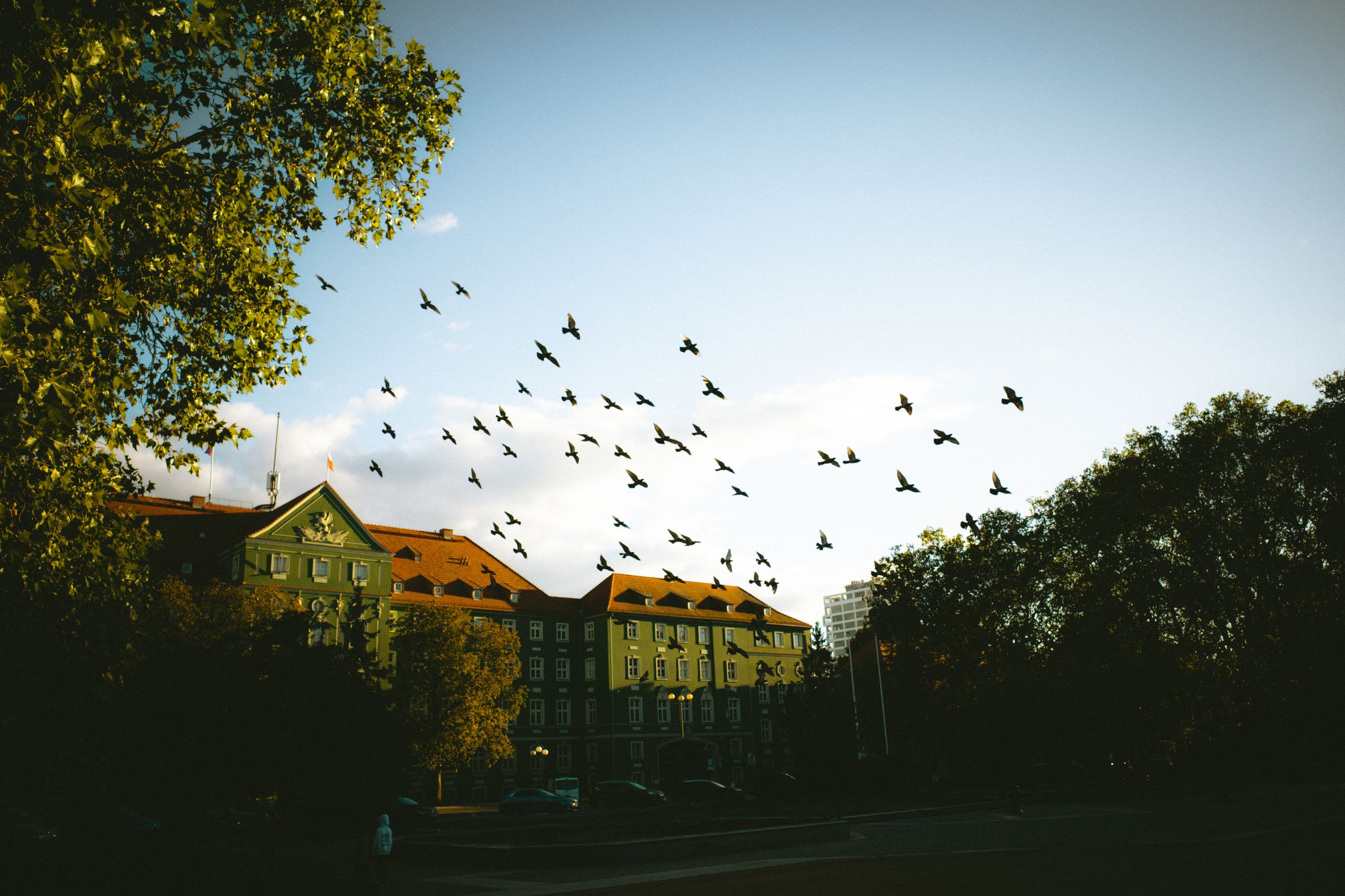 Birds Flying Over Historic Building at Sunset · Free Stock Photo