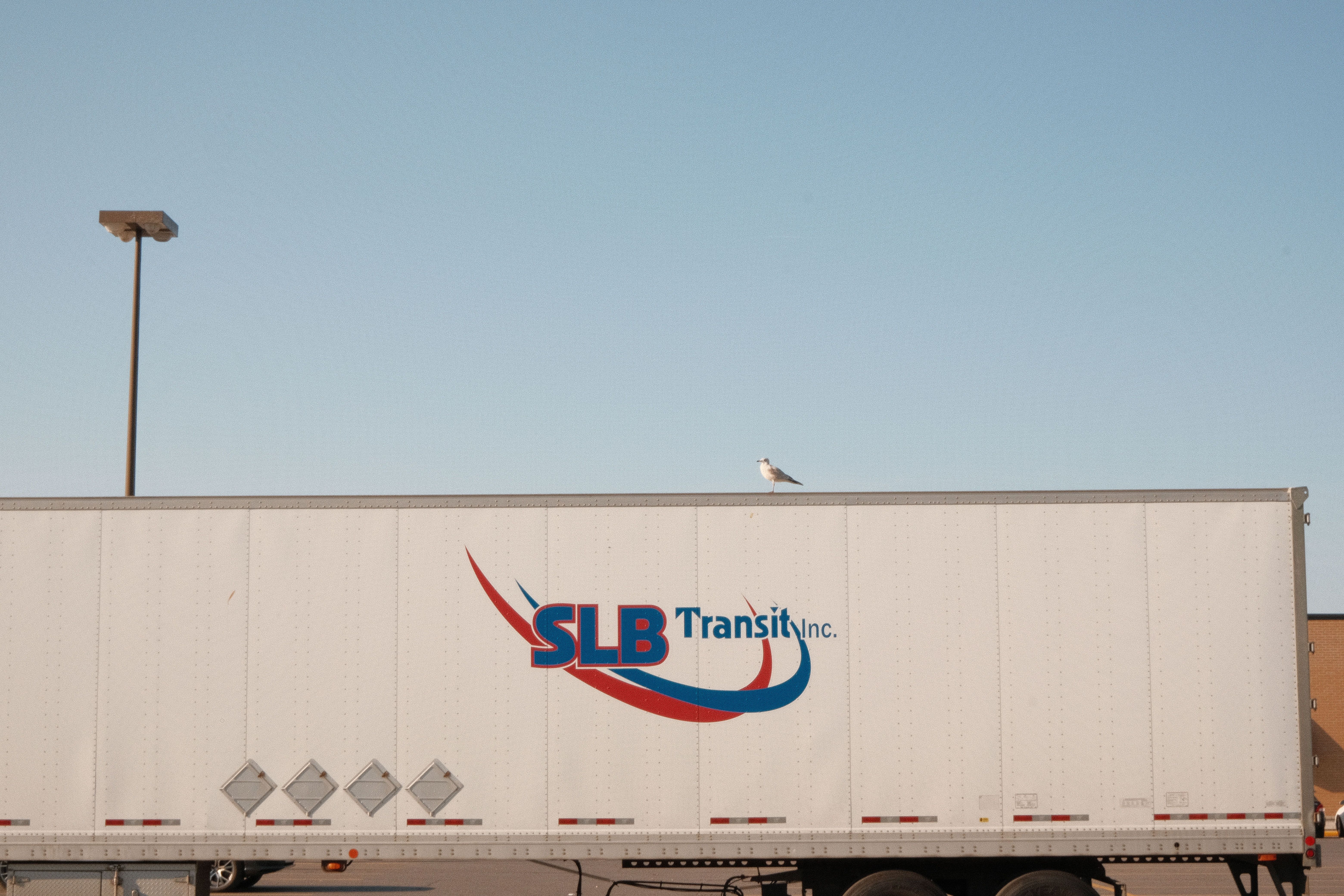 Camión Slb Transit Con Bird En Montreal · Foto de stock gratuita