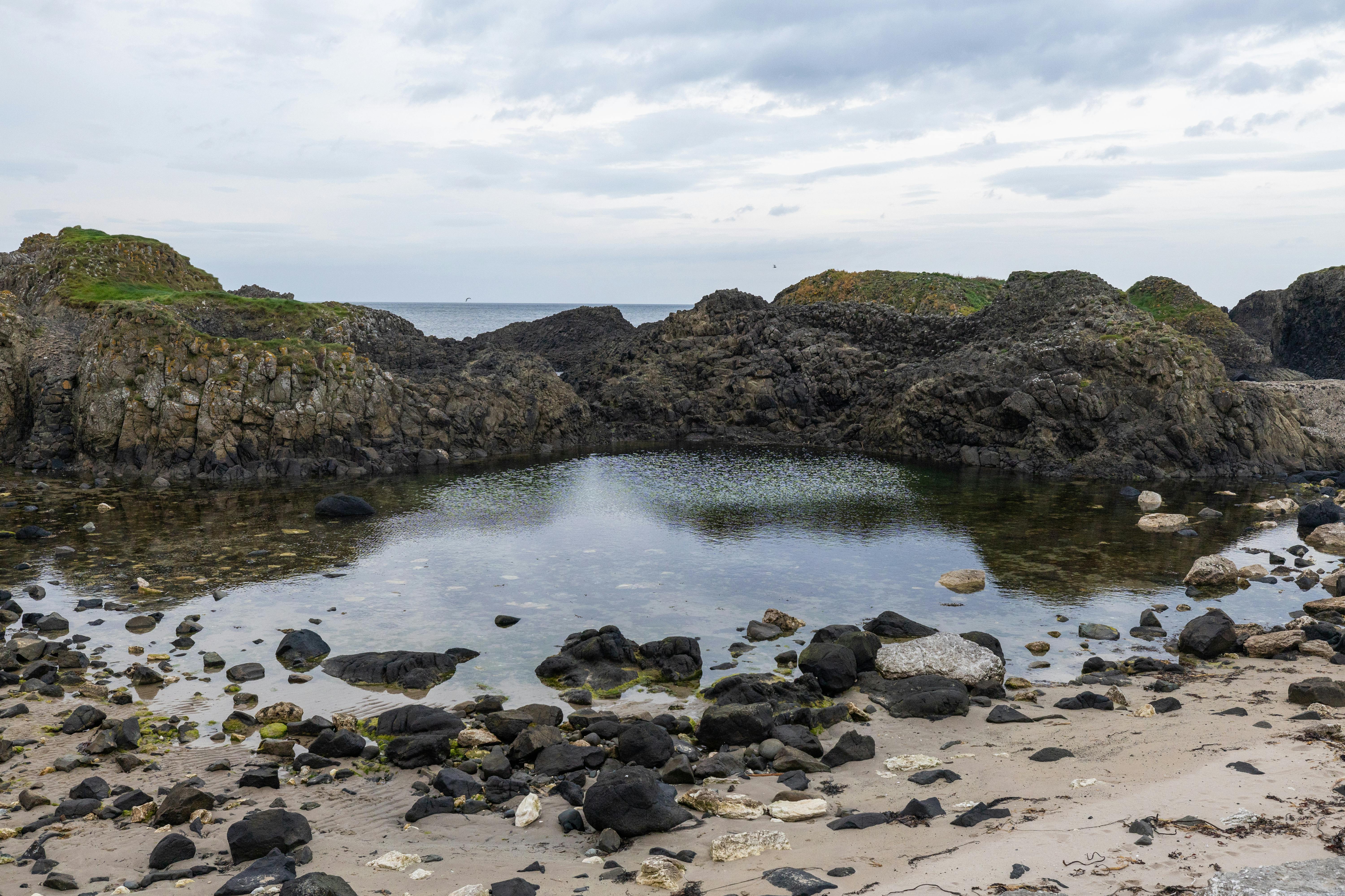Rocky Coastal Scene with Tide Pool in Summer · Free Stock Photo