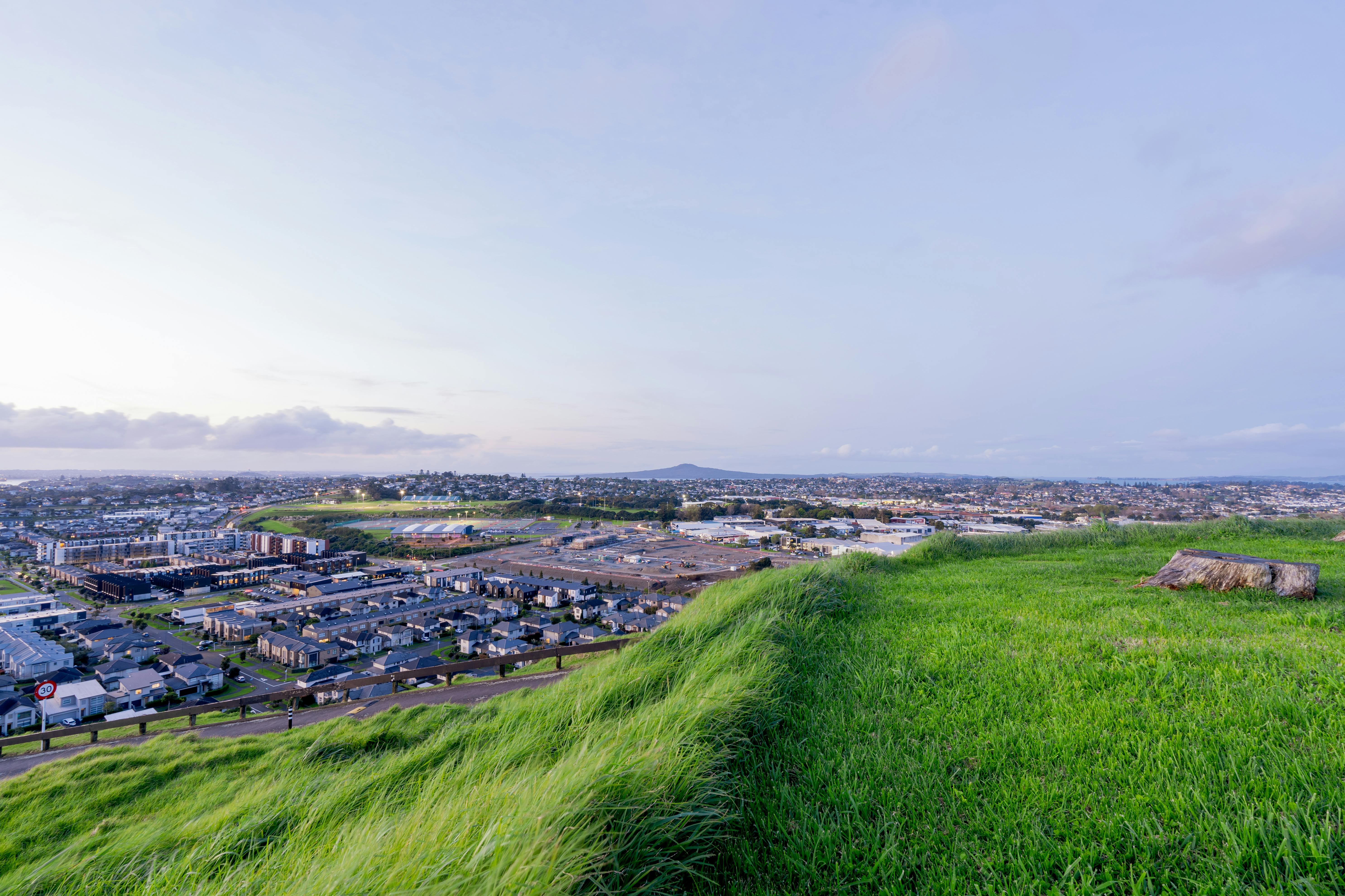Auckland Skyline from Elevated Green Hillside · Free Stock Photo