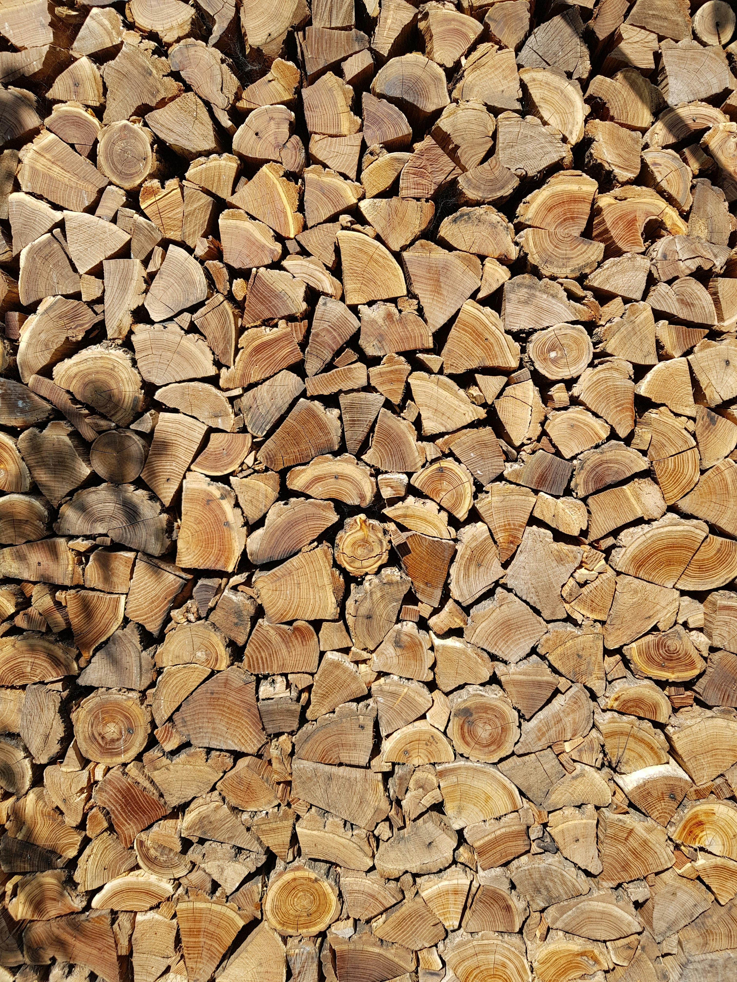 Stacked Firewood Texture for Rustic Projects · Free Stock Photo