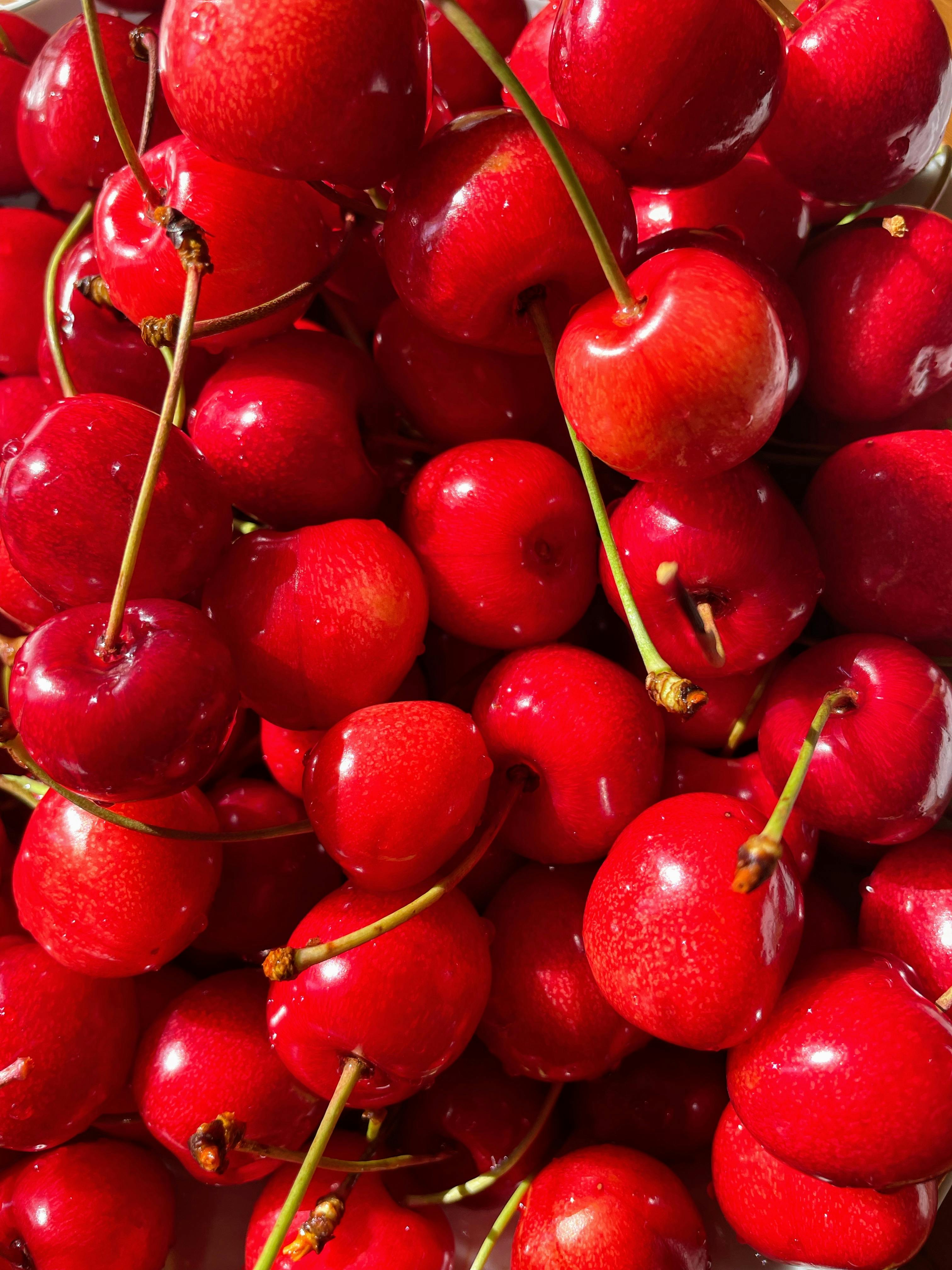 Red Cherry Fruit · Free Stock Photo