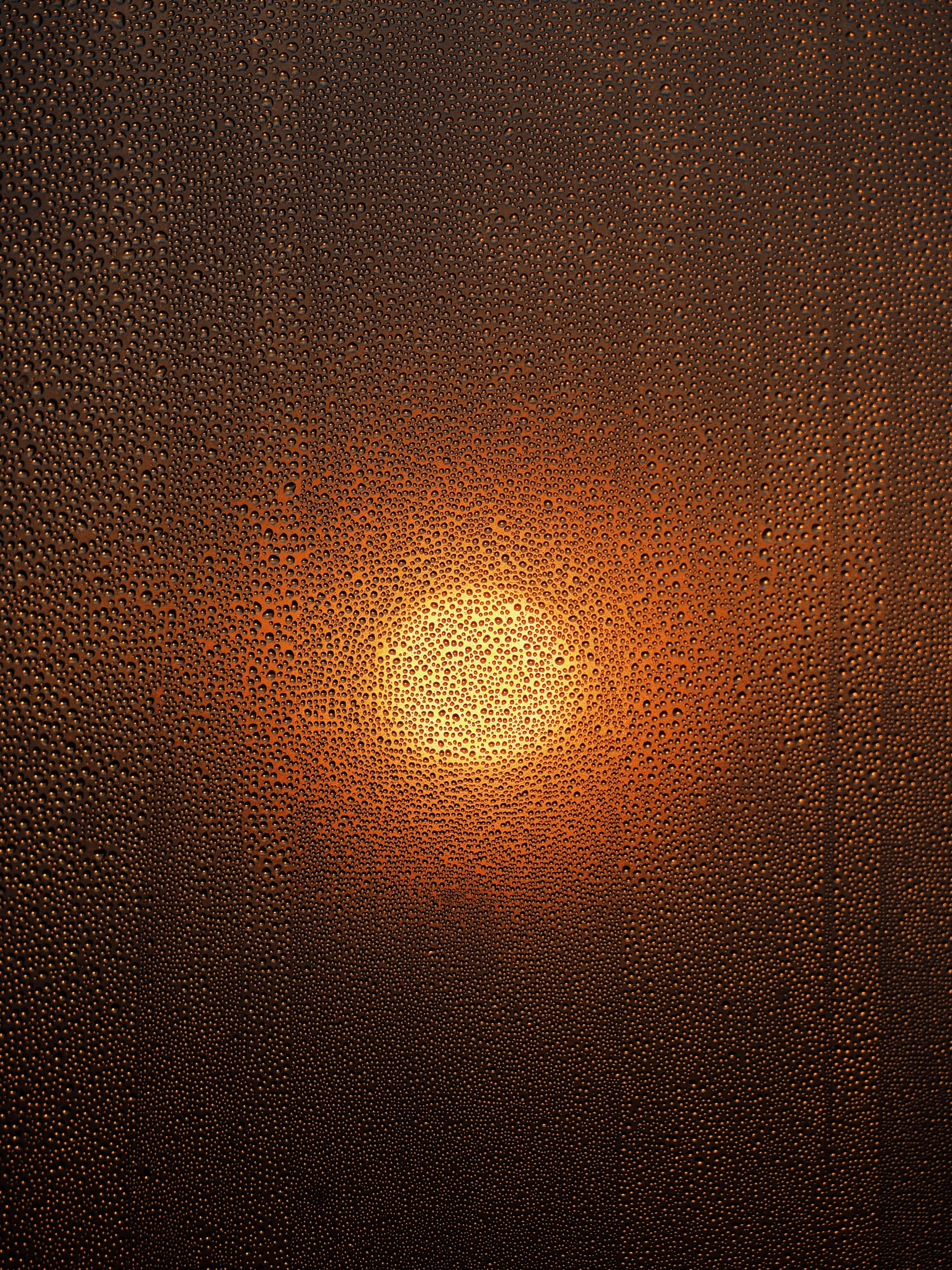 Abstract Sun Through Water Droplets · Free Stock Photo