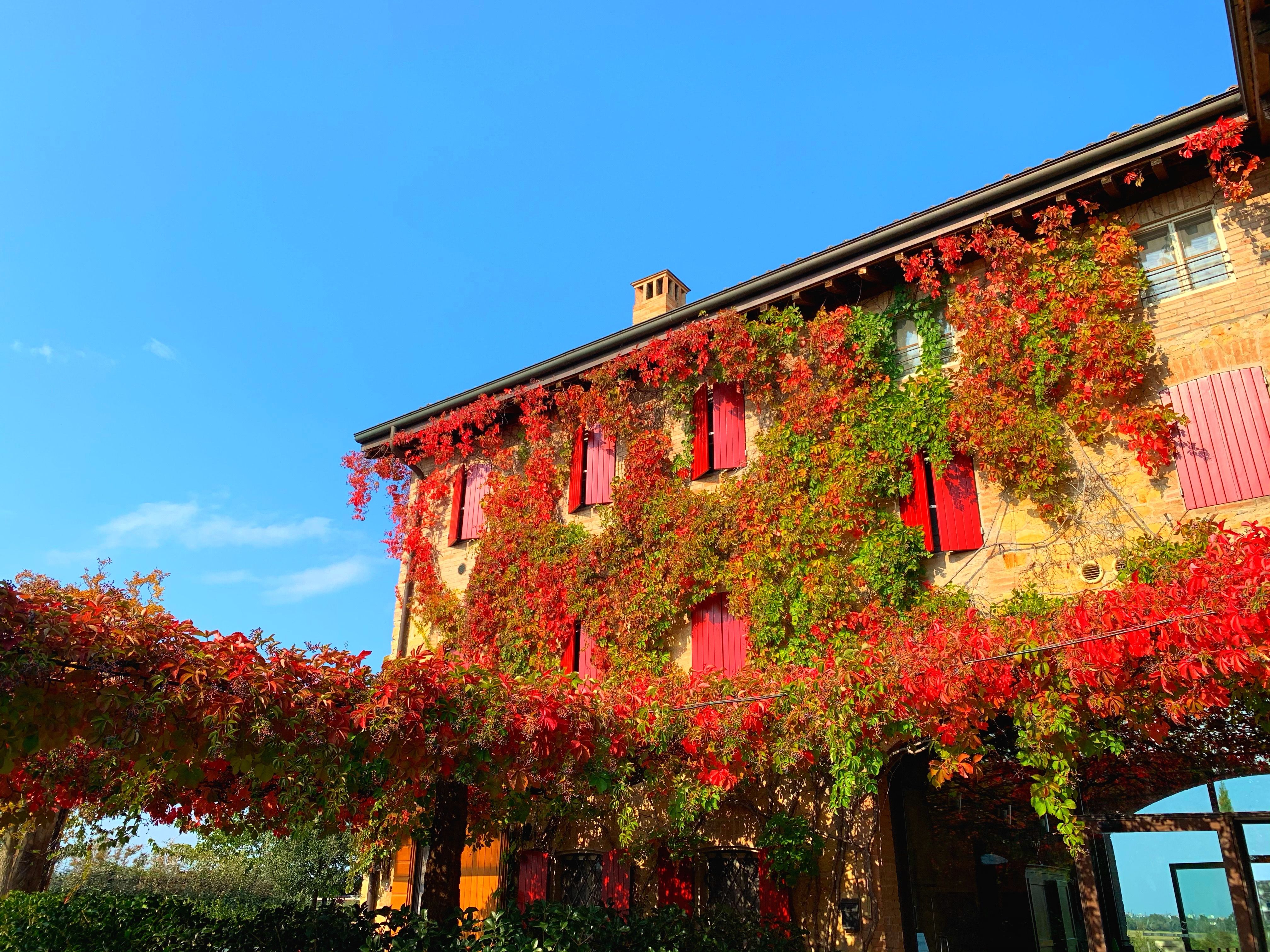 Charming Countryside House in Colorful Fall Foliage · Free Stock Photo