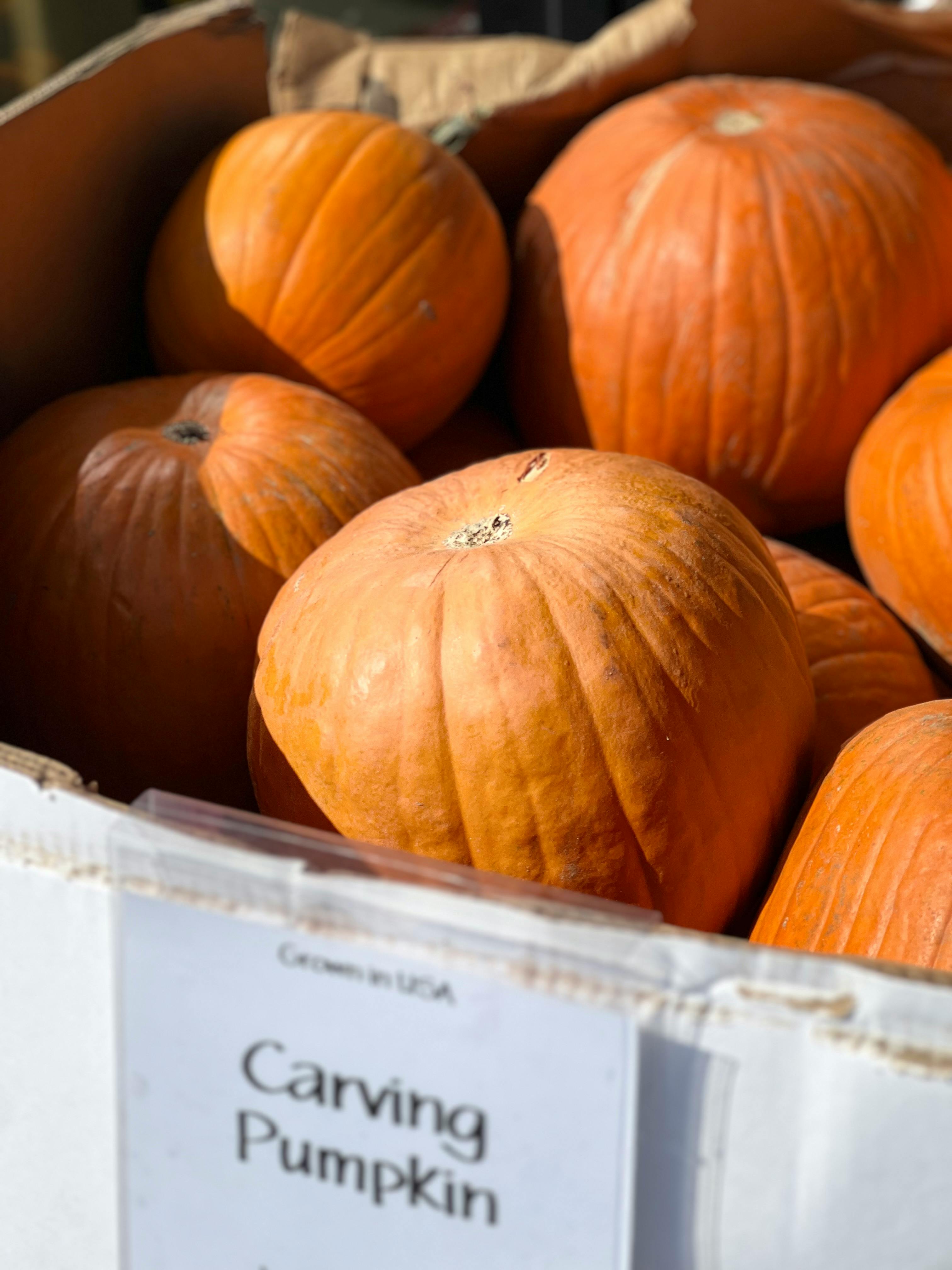 Bright Orange Pumpkins Box for Carving · Free Stock Photo