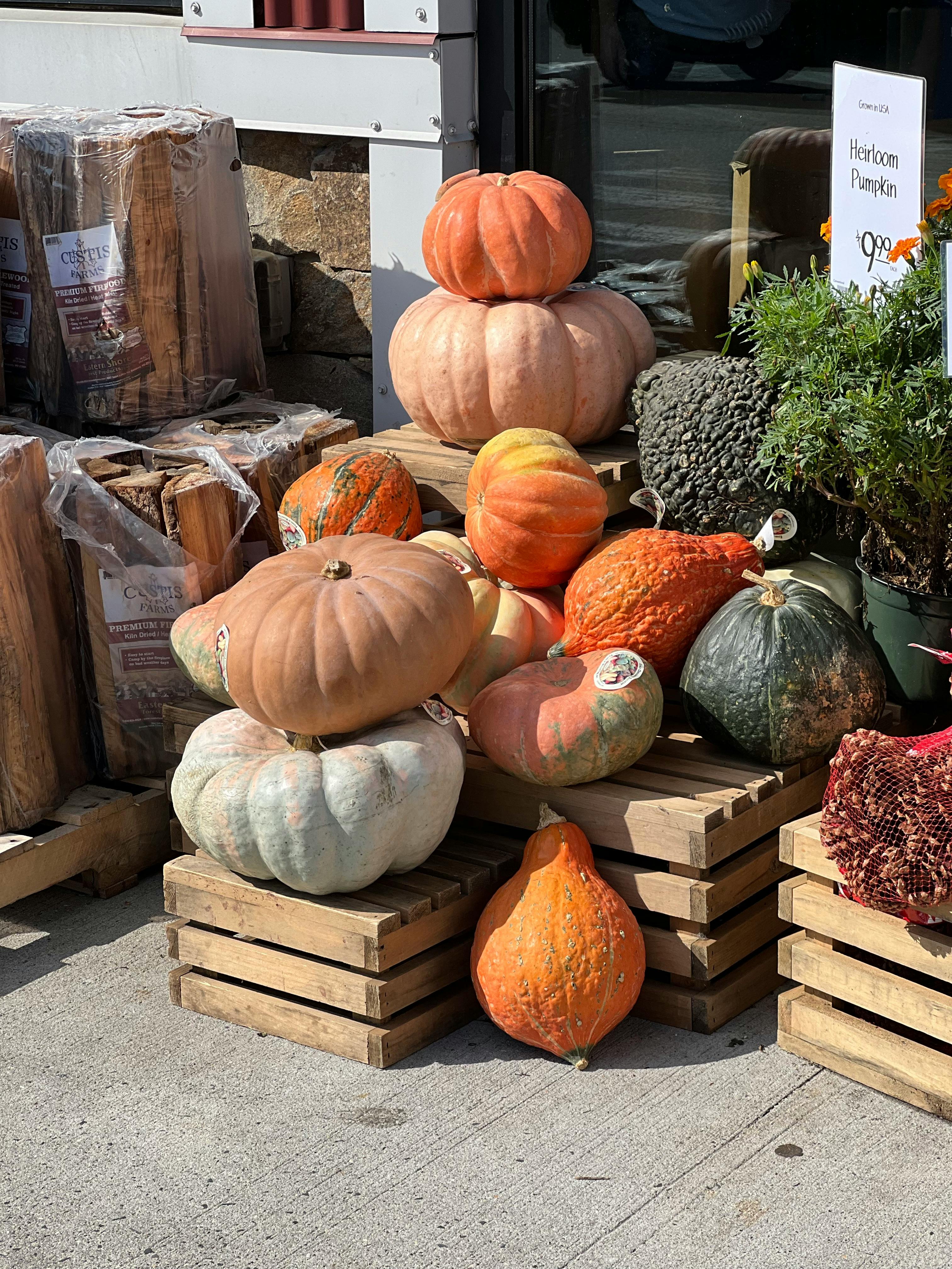 Assorted Heirloom Pumpkins on Wooden Crates · Free Stock Photo