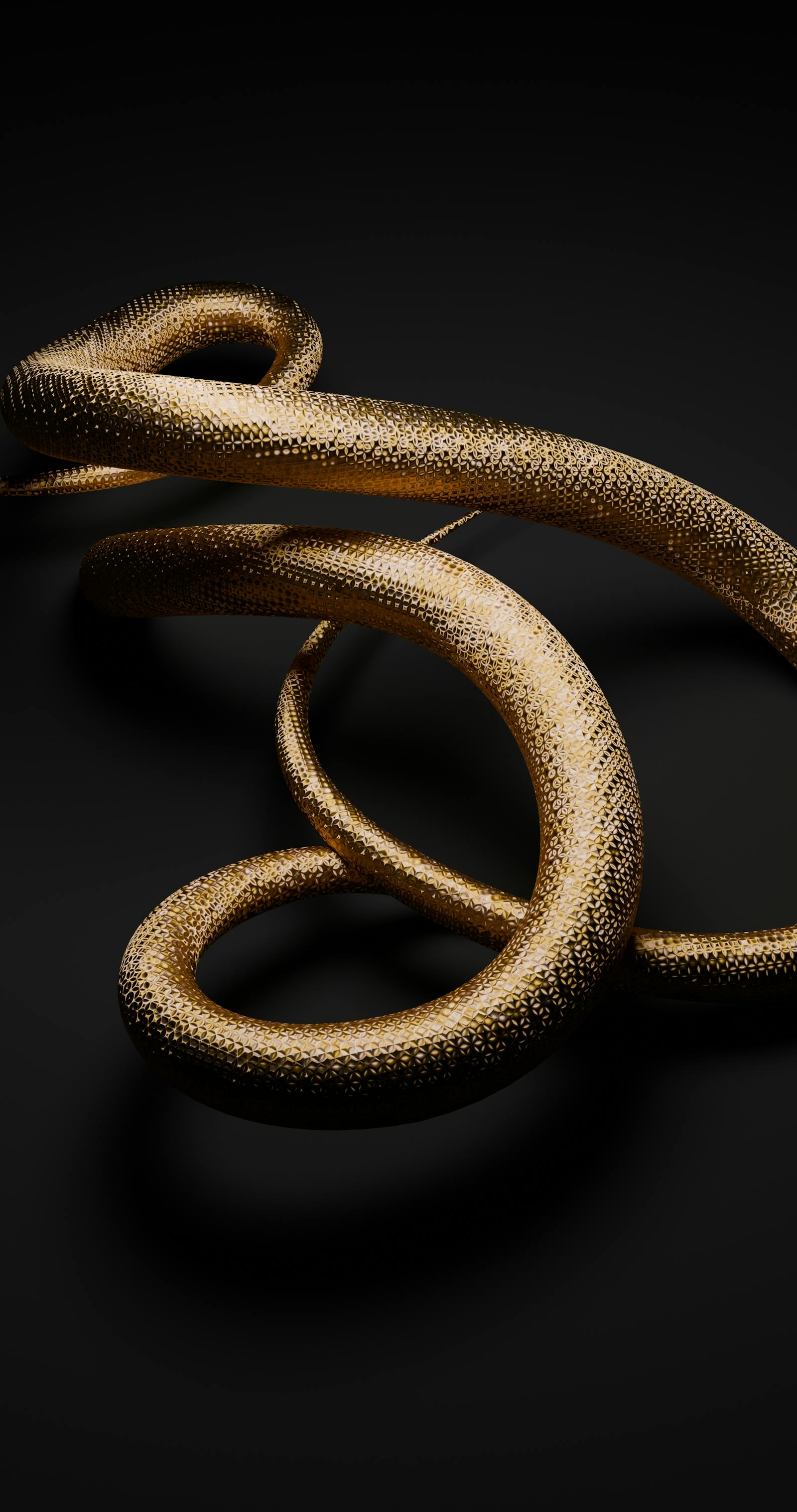 Titanoboa Snake Photos, Download The BEST Free Titanoboa Snake Stock ...