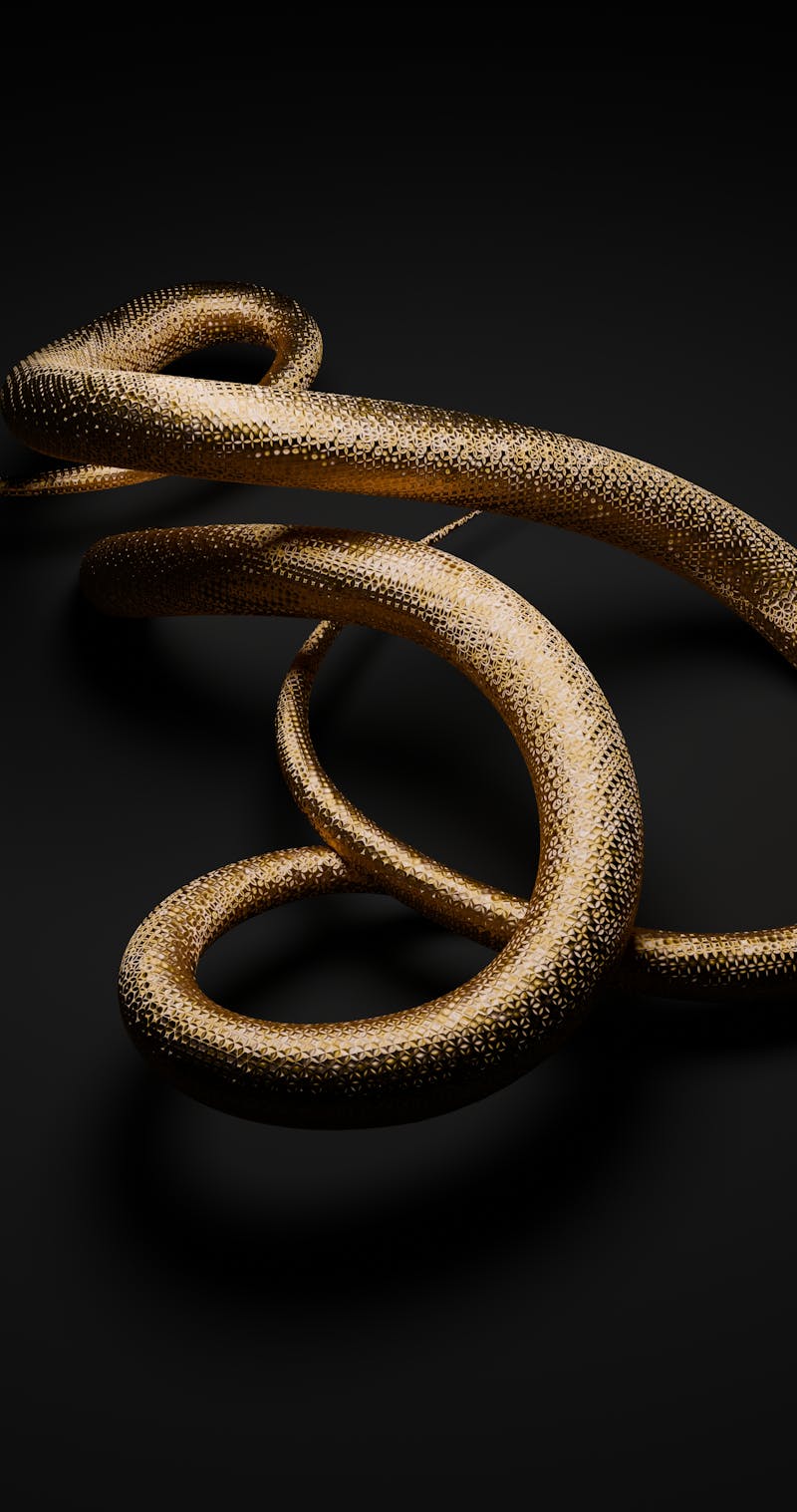 Titanoboa Snake Photos, Download The BEST Free Titanoboa Snake Stock ...