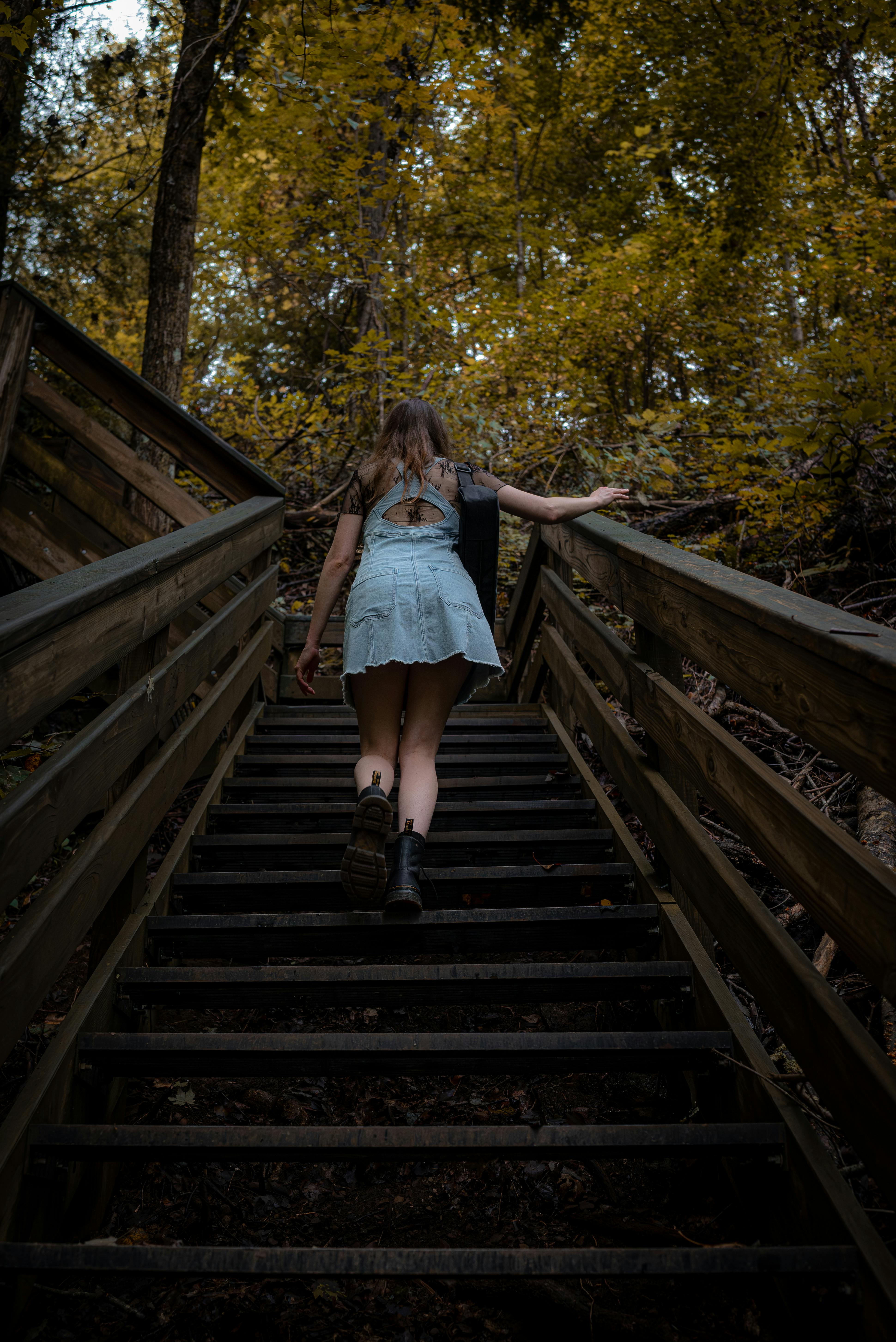 Woman Climbing Forest Stairway in Autumn Setting · Free Stock Photo