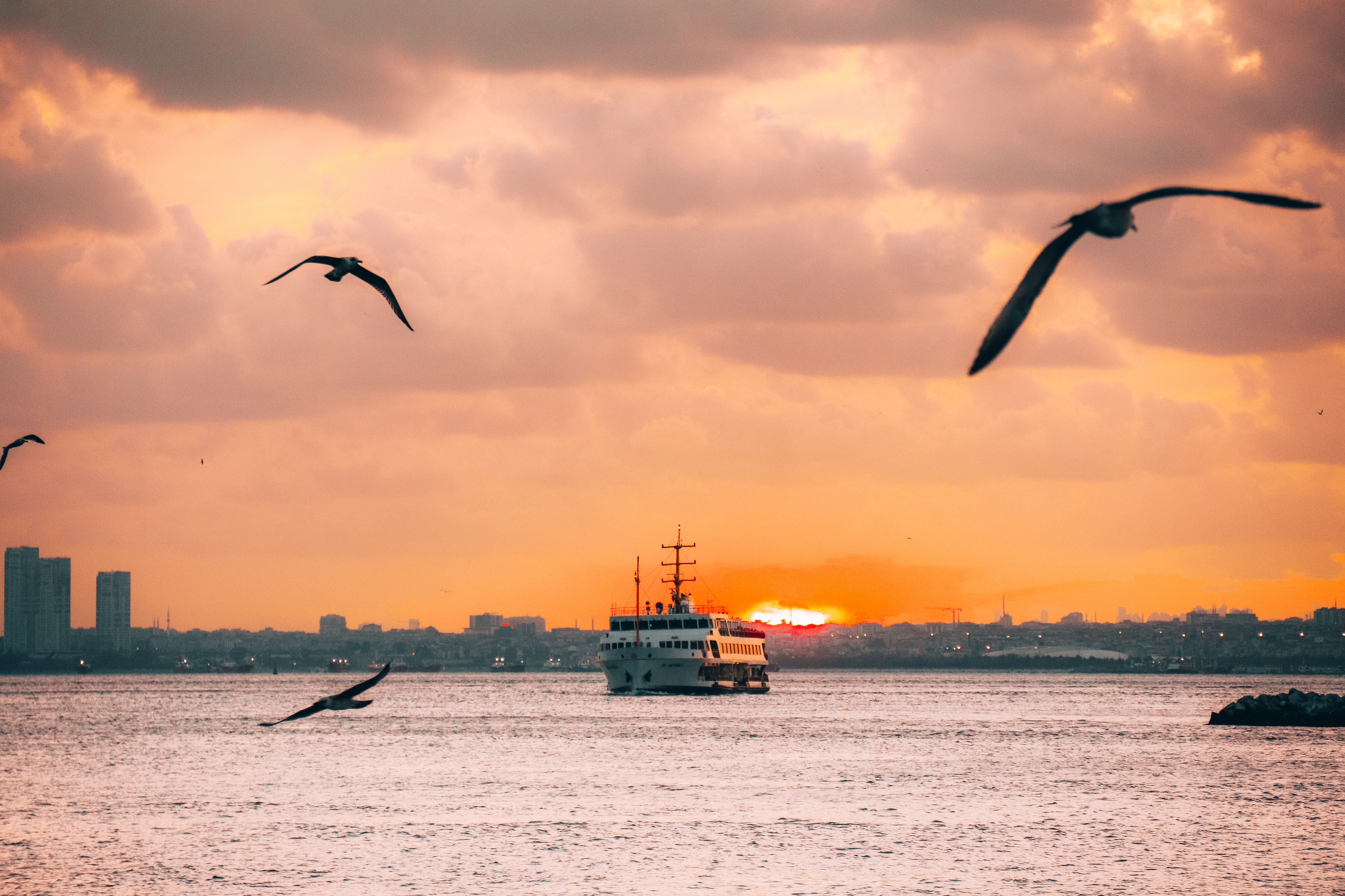 Scenic Sunset Over Waterfront With Ferry and Birds · Free Stock Photo