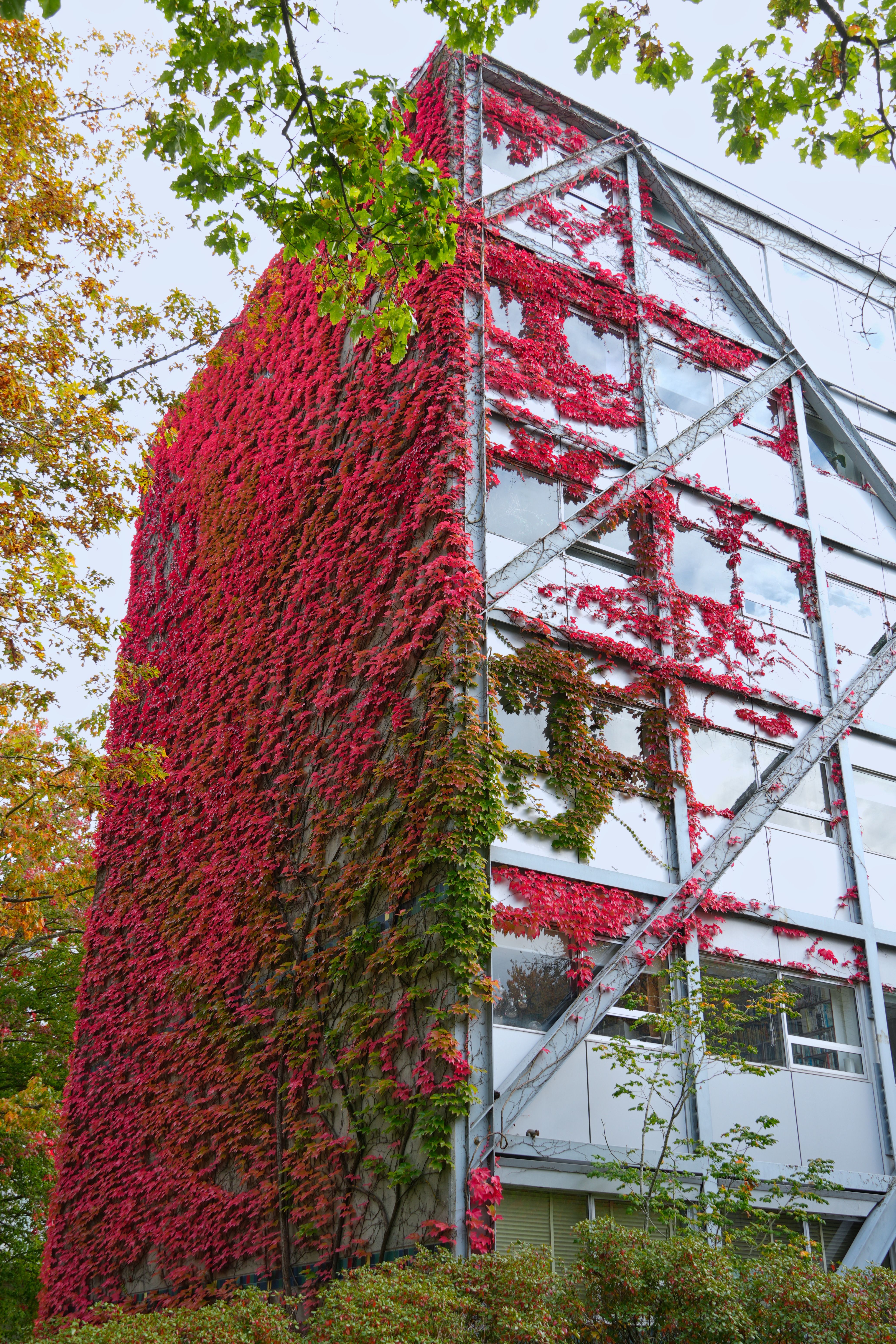 Biodiversity Building Photos, Download The BEST Free Biodiversity ...