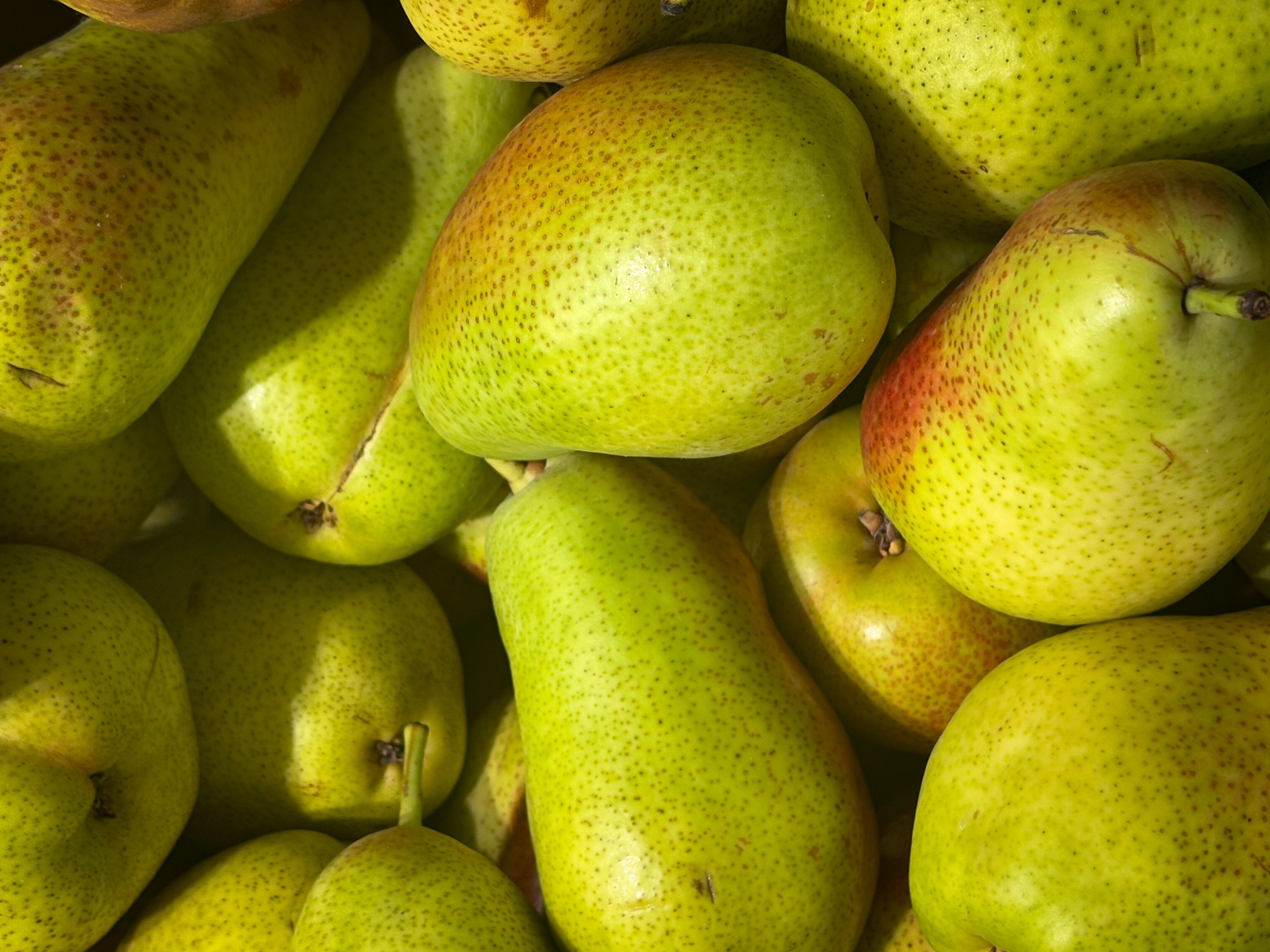 Fresh Green Pears in Natural Light · Free Stock Photo