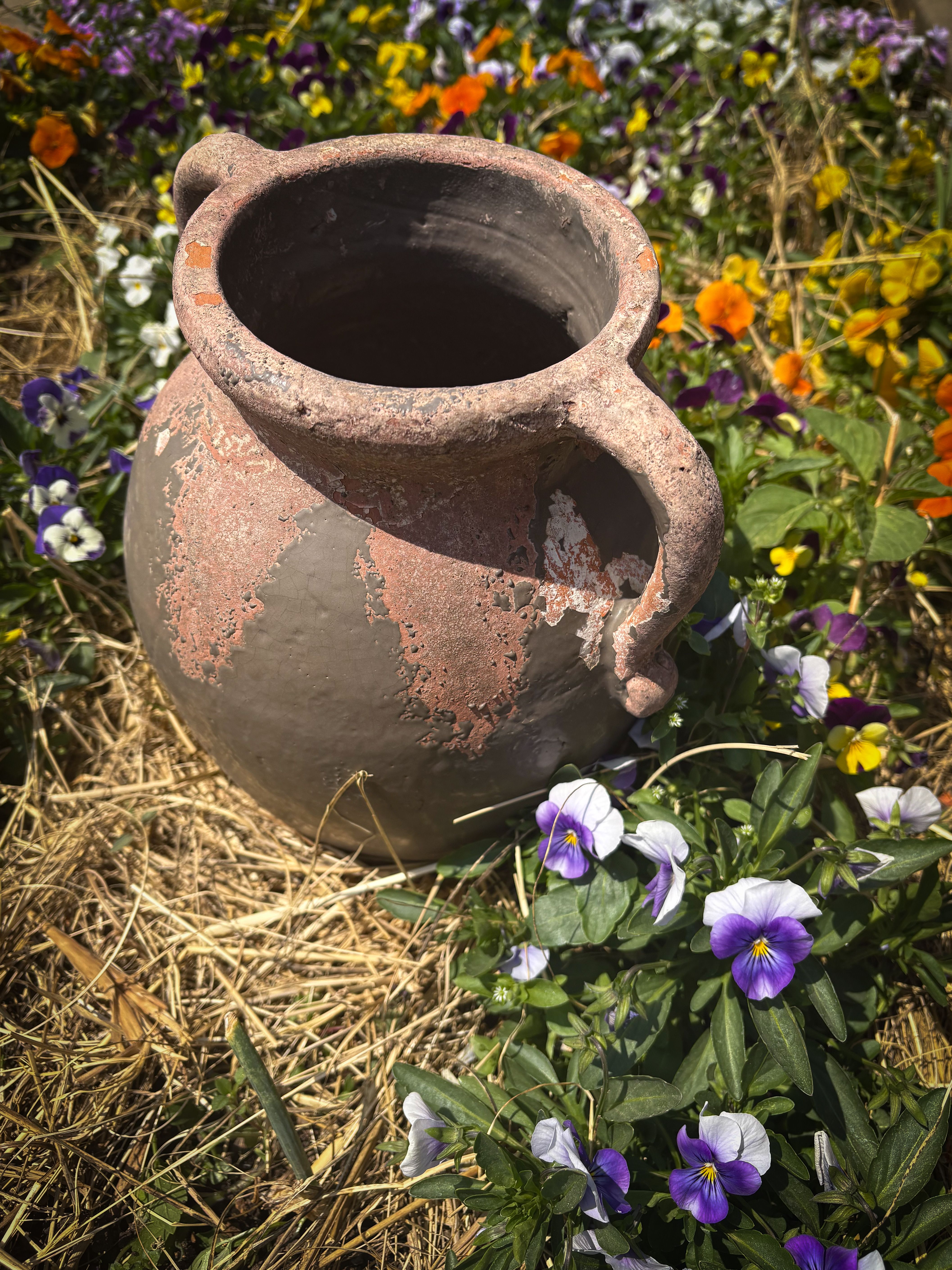 Rustic Garden Pot Among Vibrant Spring Flowers · Free Stock Photo