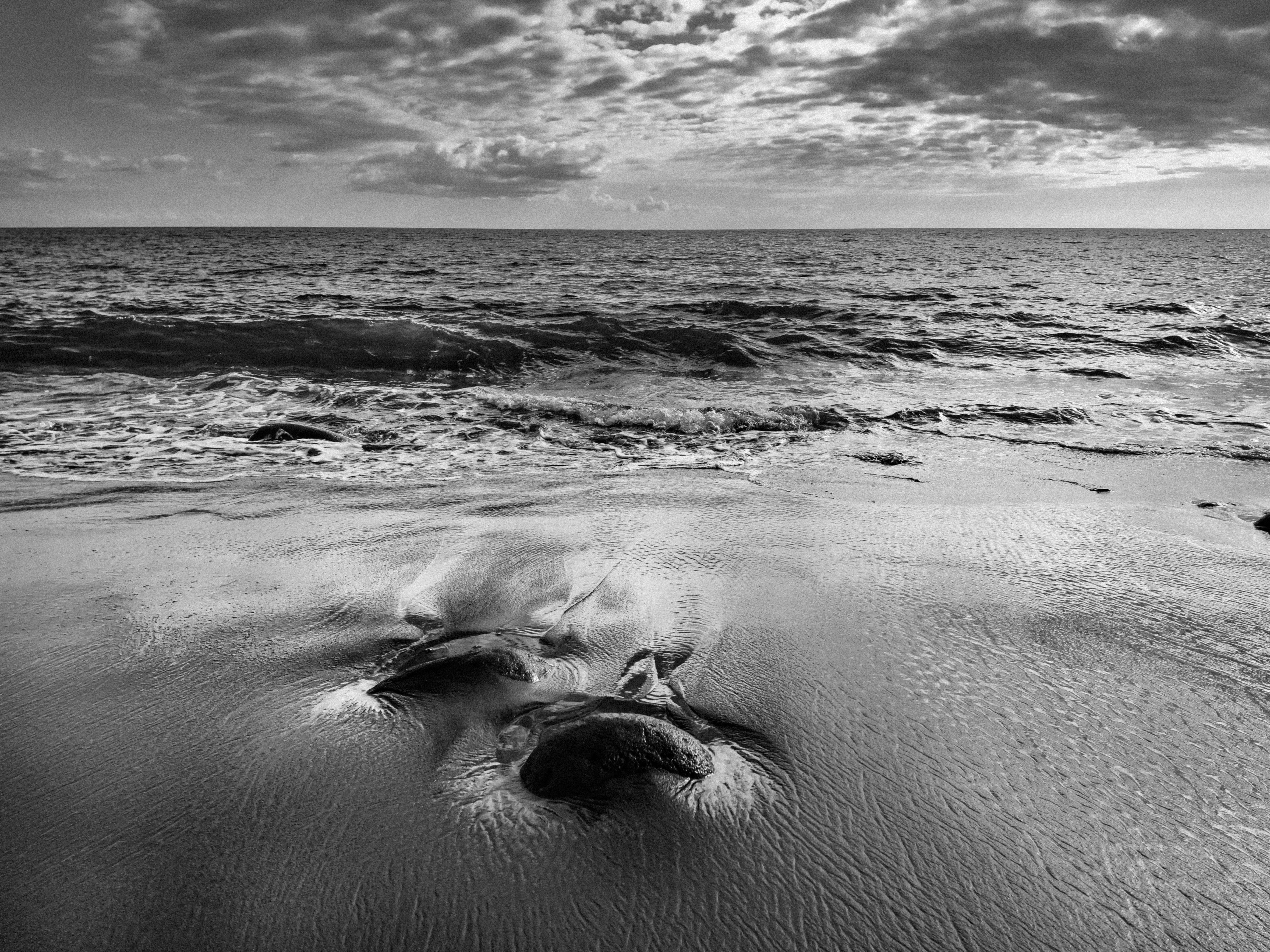 Serene Black and White Beach Landscape · Free Stock Photo
