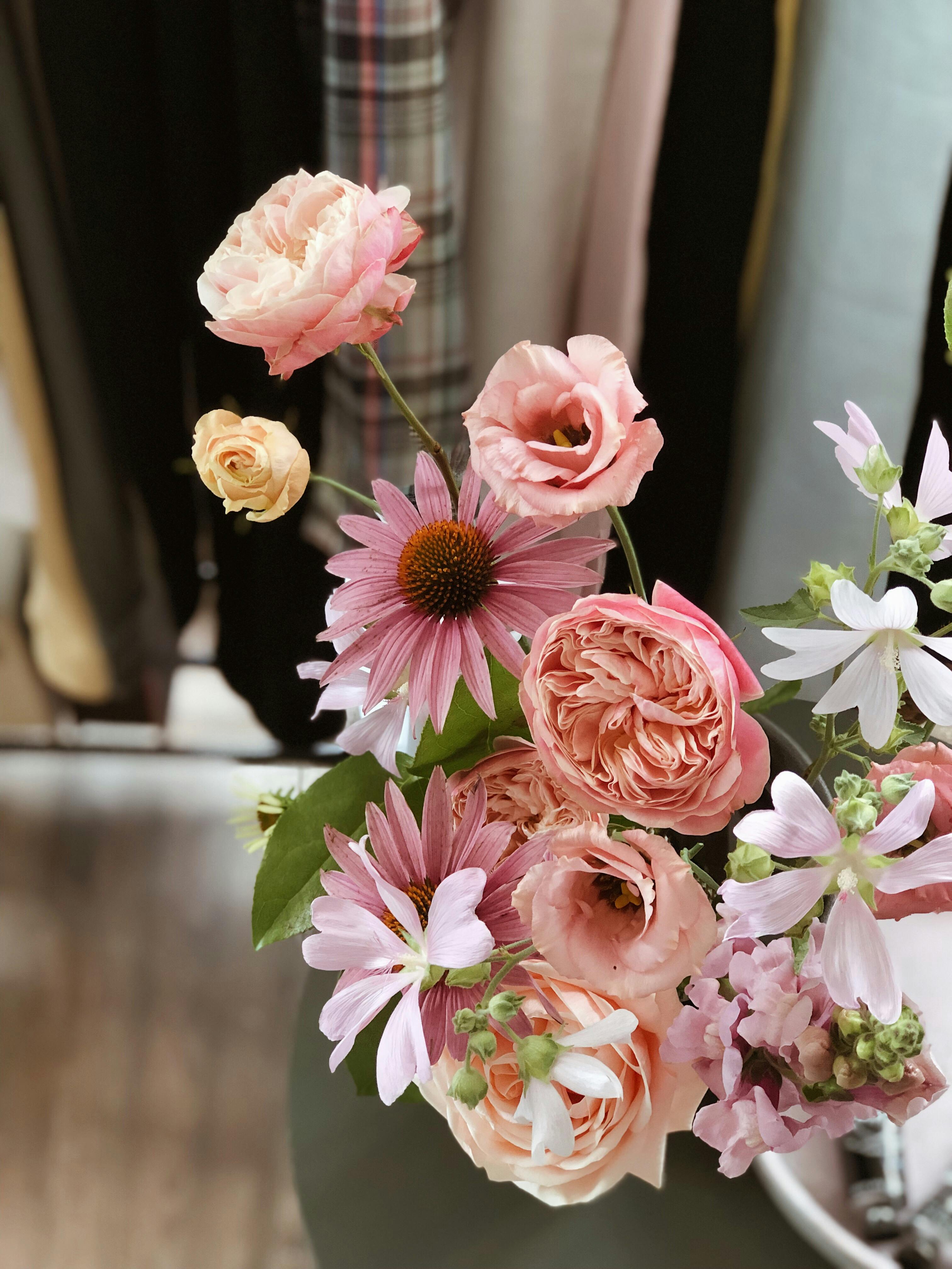 Secret Garden - Photography