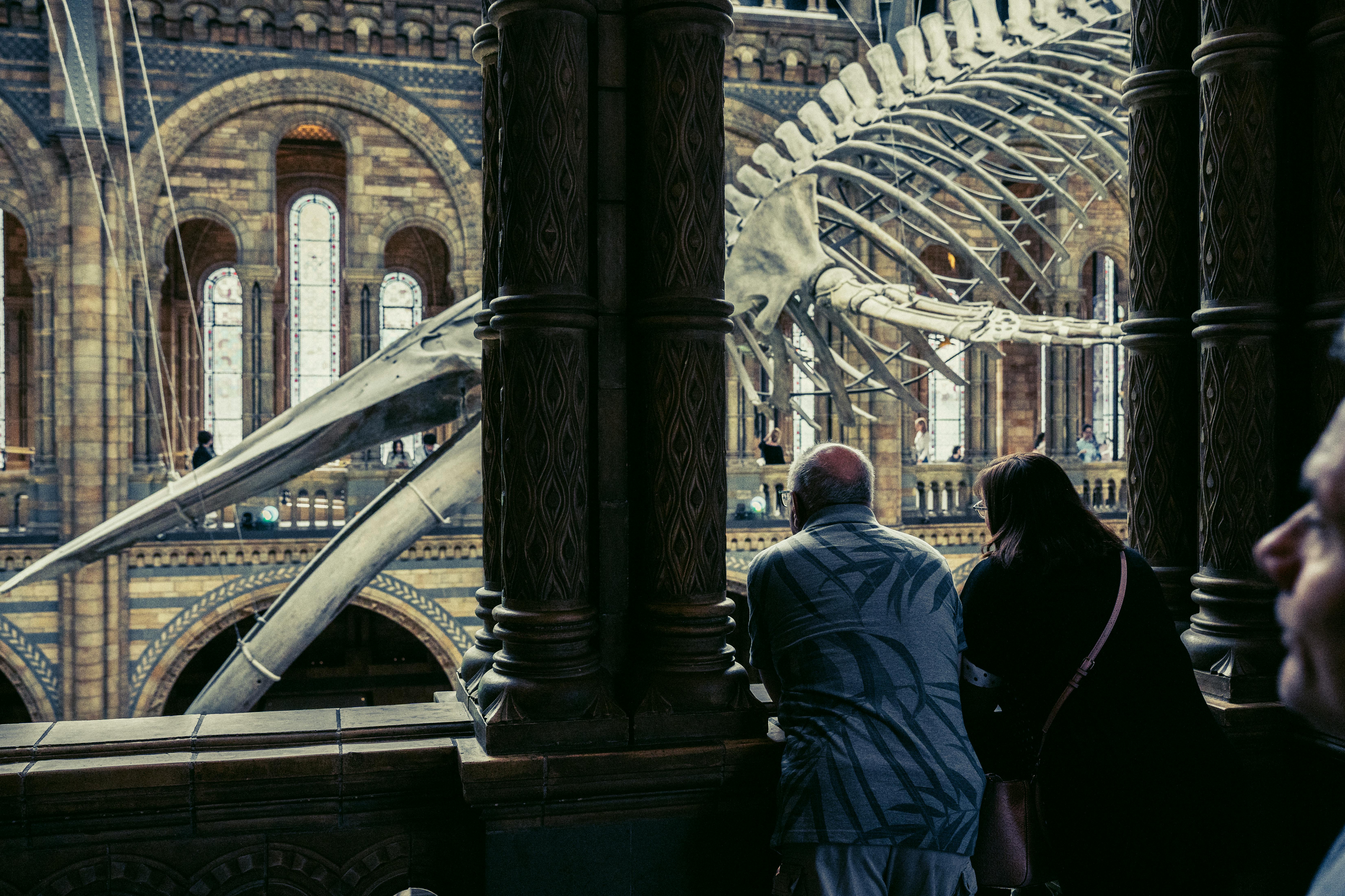 Visitors at London's Natural History Museum Gallery · Free Stock Photo