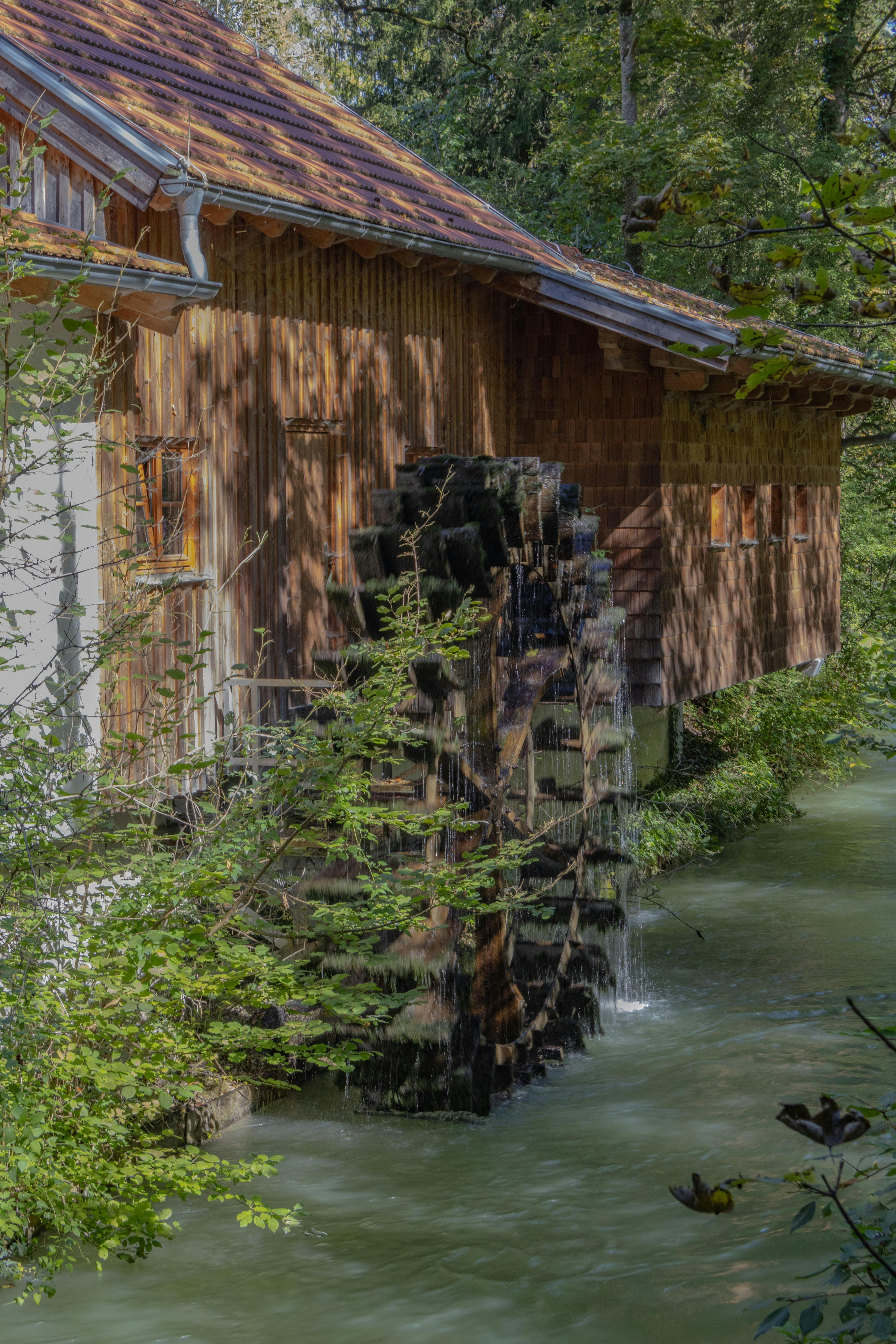 Rustic Watermill in Lush Woodland · Free Stock Photo
