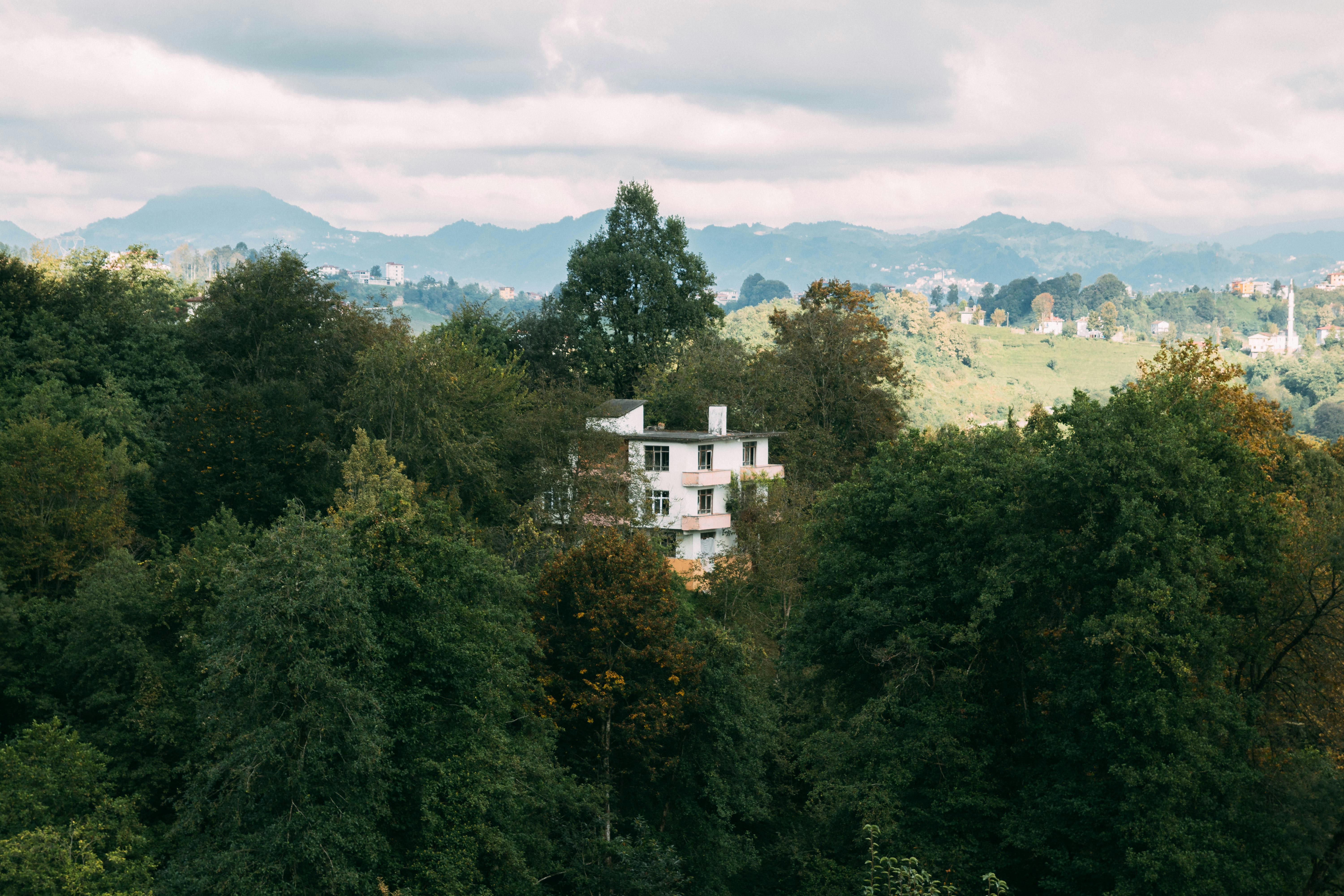 Secluded House in Lush Forested Mountain View · Free Stock Photo