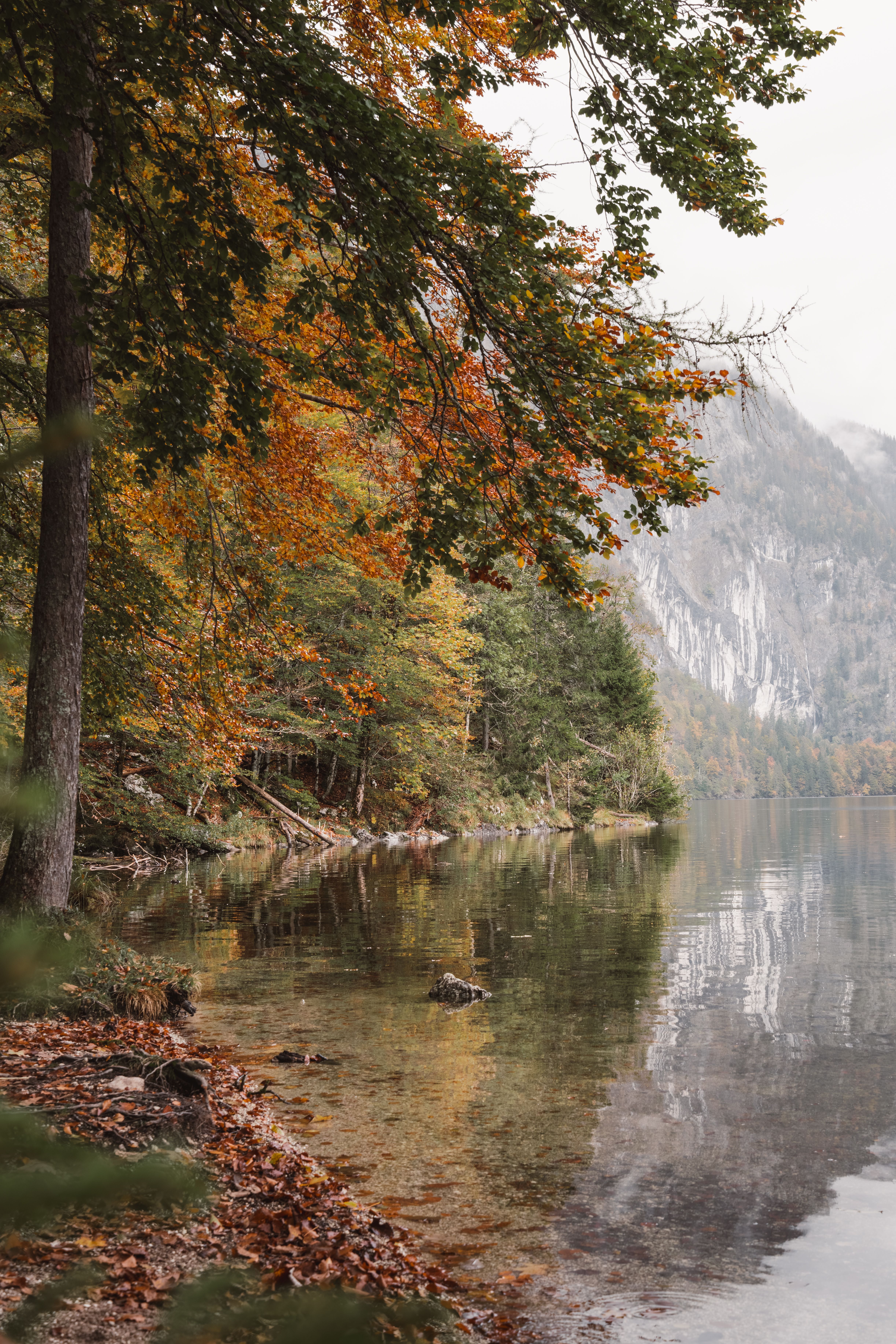 Tranquil Autumn Scene at Lake in Bad Aussee · Free Stock Photo