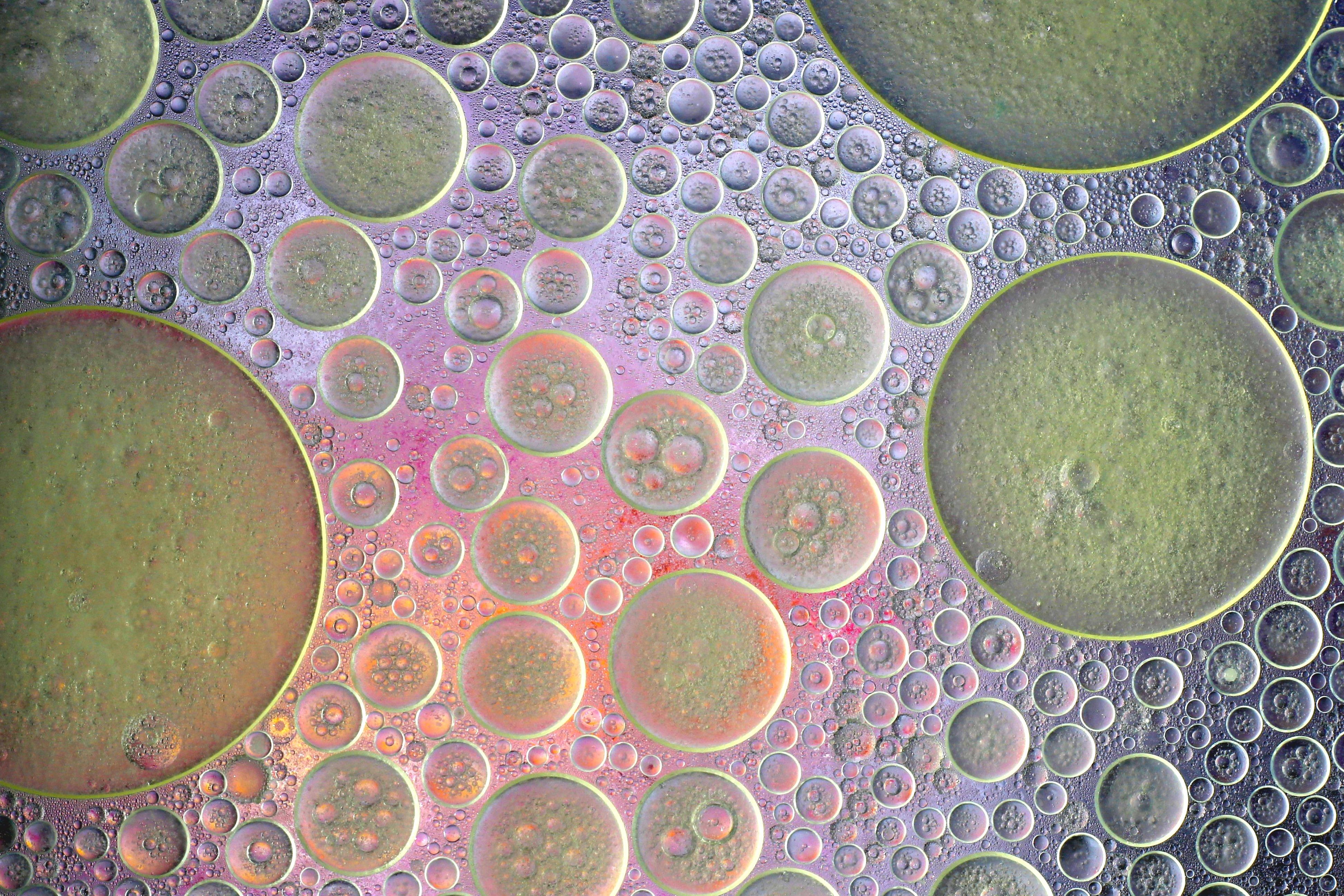 Colorful Oil and Water Abstract Bubbles Photography · Free Stock Photo