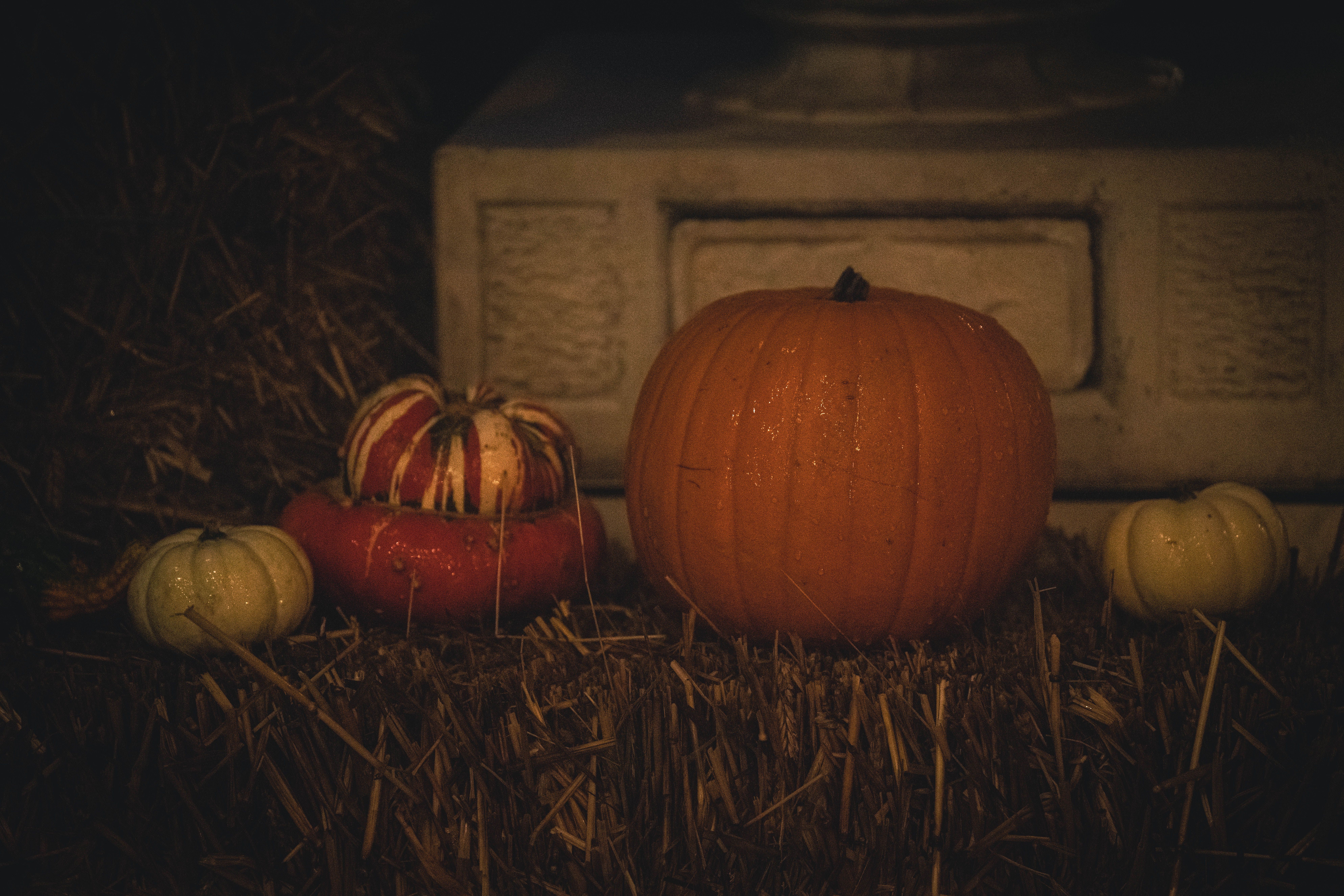 Autumn Harvest Pumpkins on Straw Bale · Free Stock Photo
