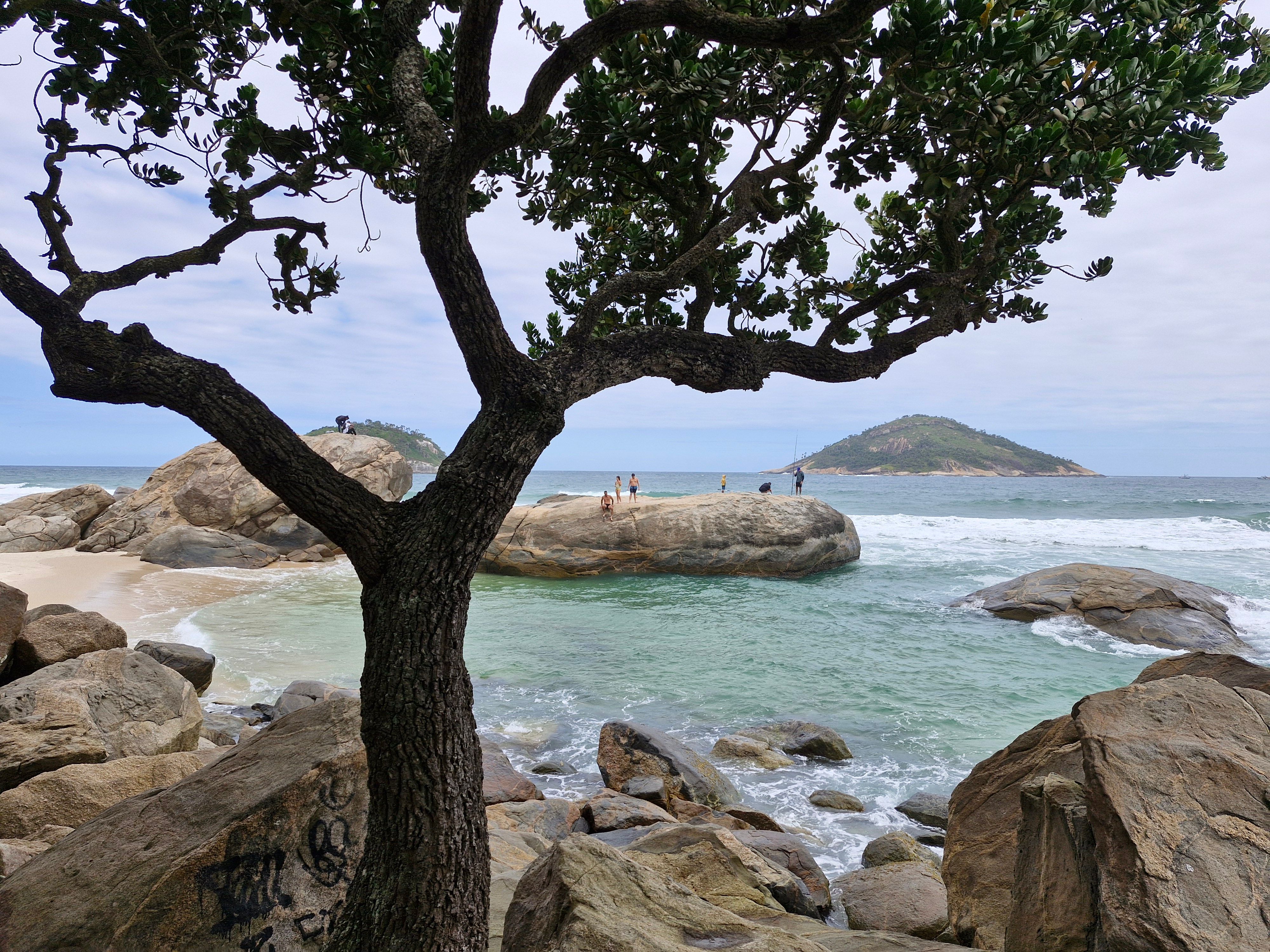 Scenic Beach View with Ocean and Rocks · Free Stock Photo