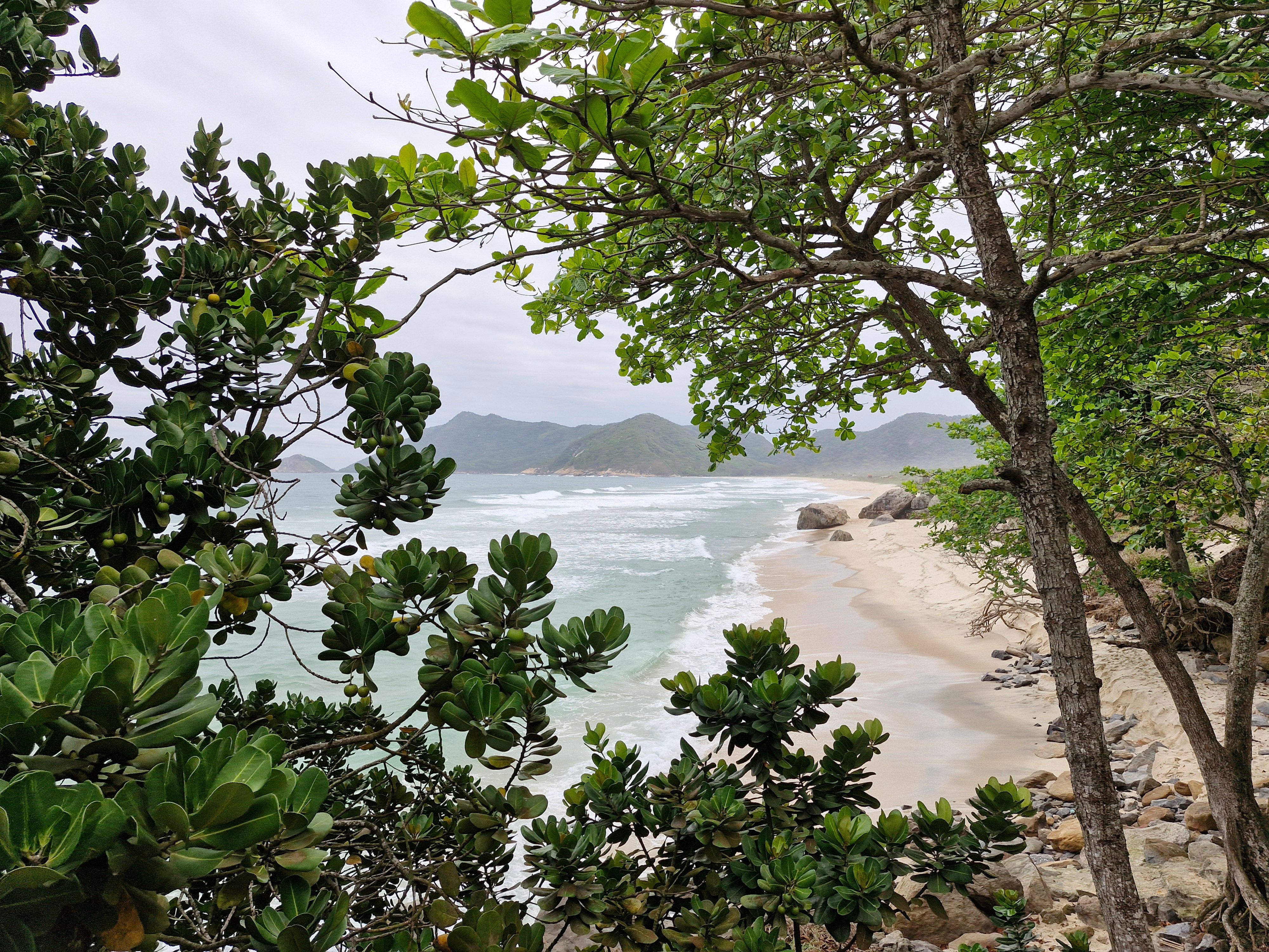 Lush Green Beach Overlook View in Nature · Free Stock Photo