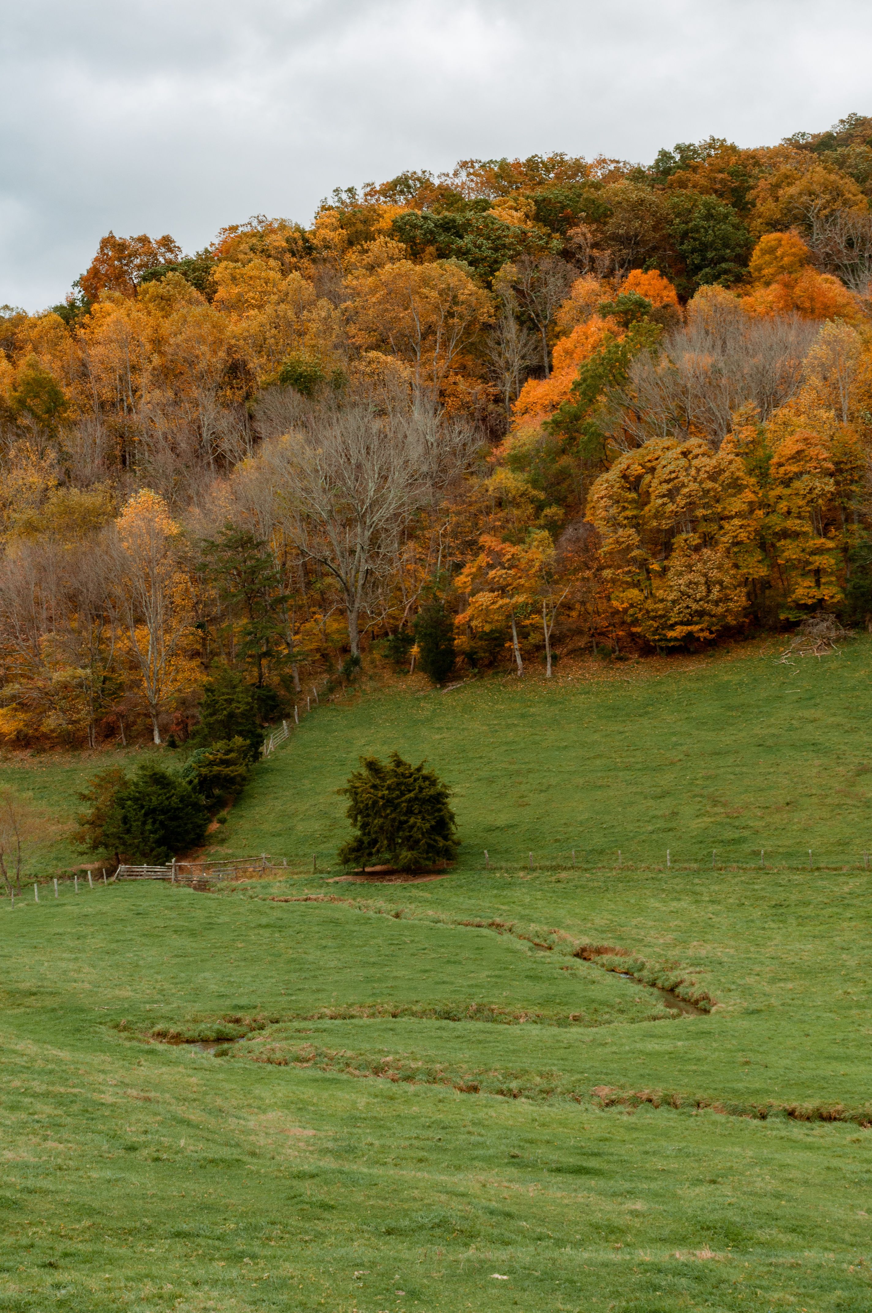 Scenic Autumn Landscape in Blacksburg, Virginia · Free Stock Photo