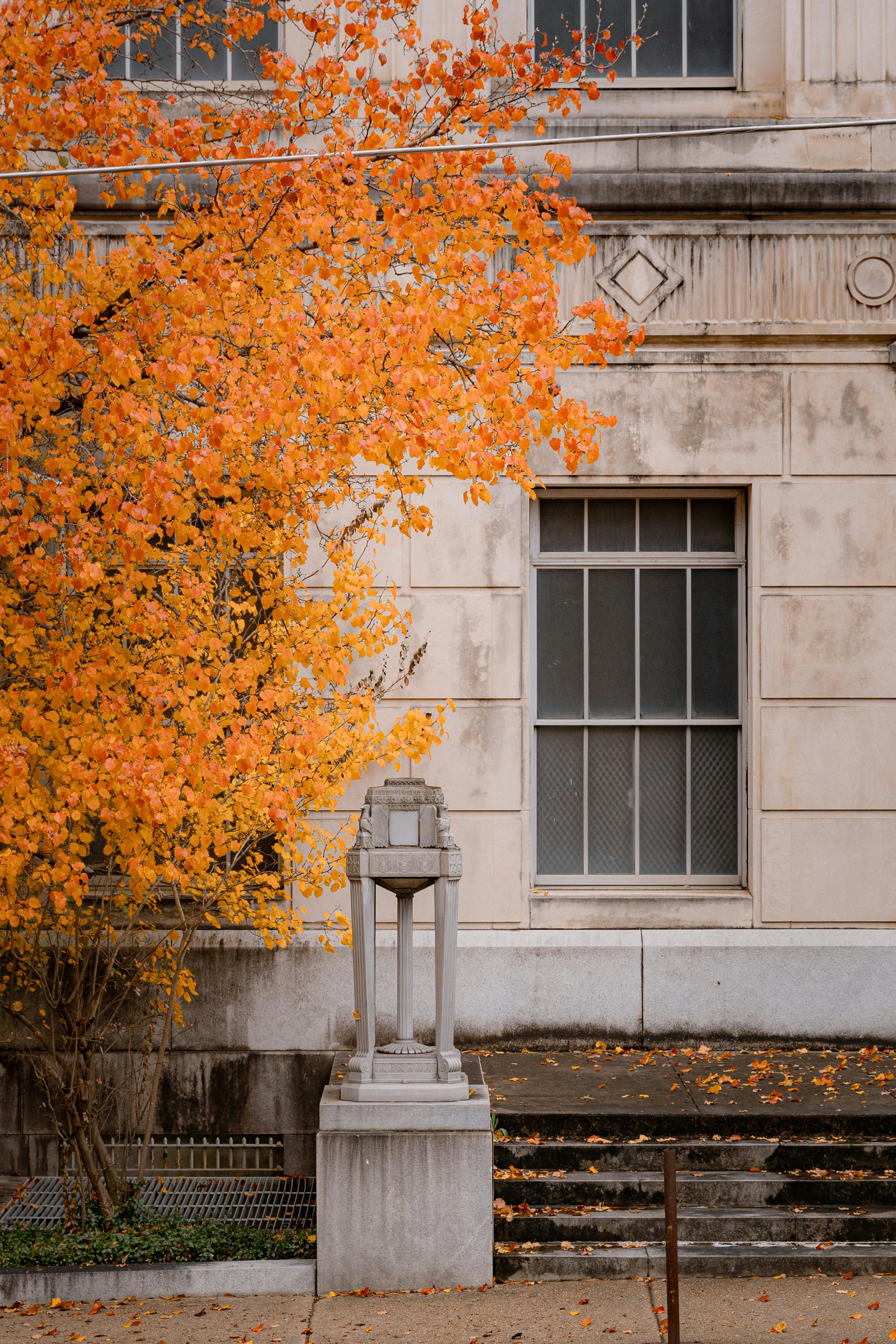Autumn Leaves and Classic Architecture Scene · Free Stock Photo