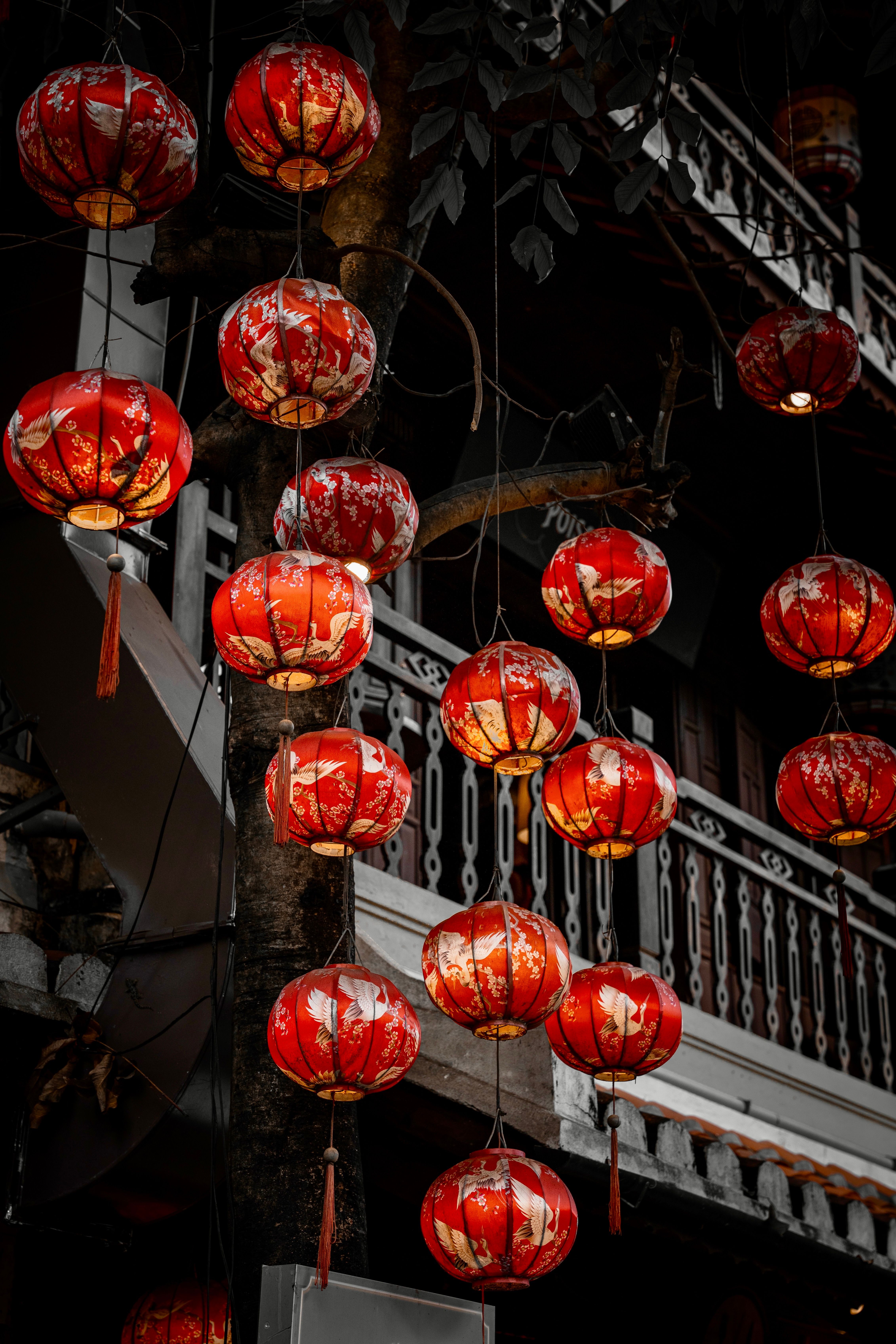Vibrant Red Lanterns at Asian Lantern Festival · Free Stock Photo