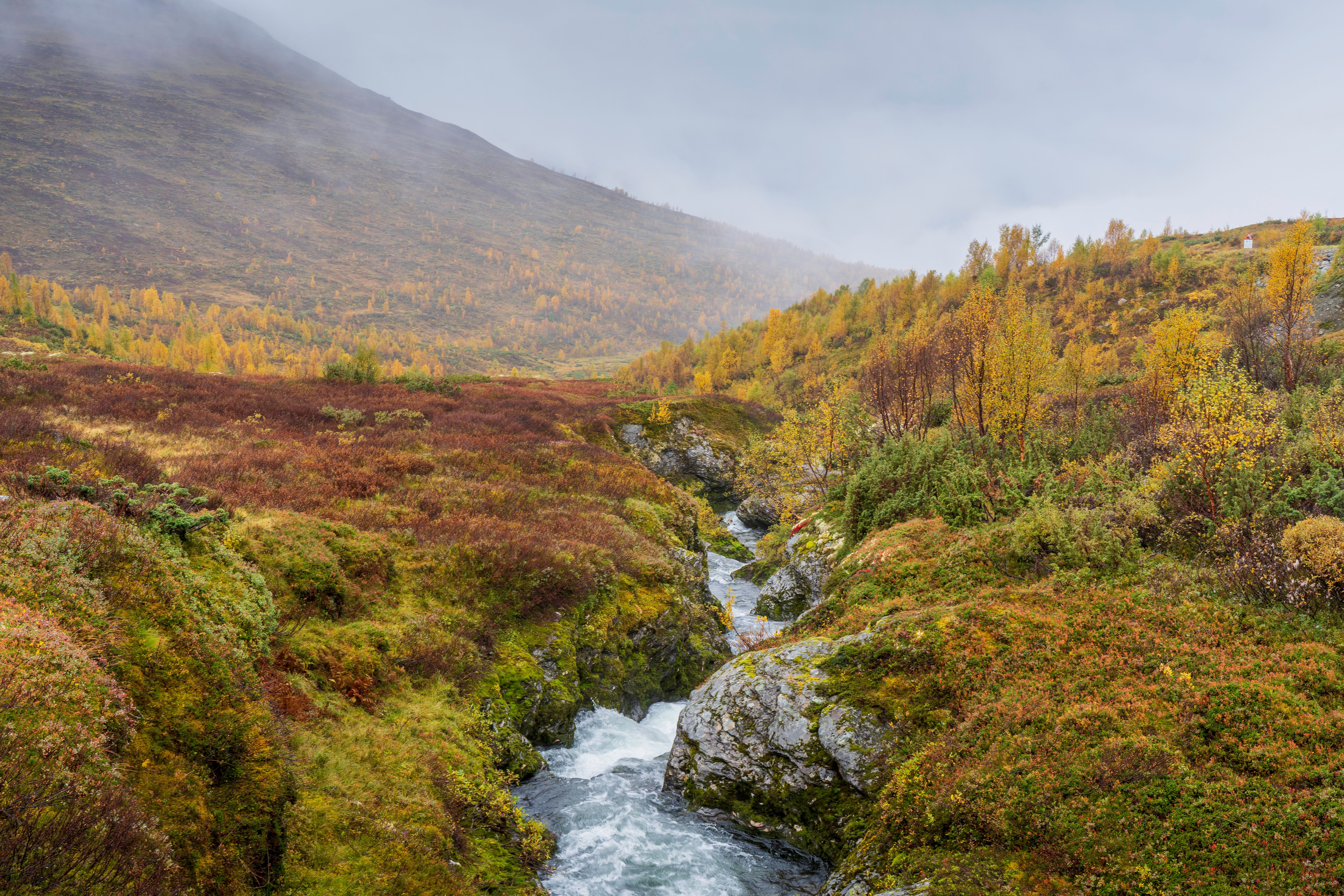 Scenic Autumn Mountain Stream in Norway · Free Stock Photo