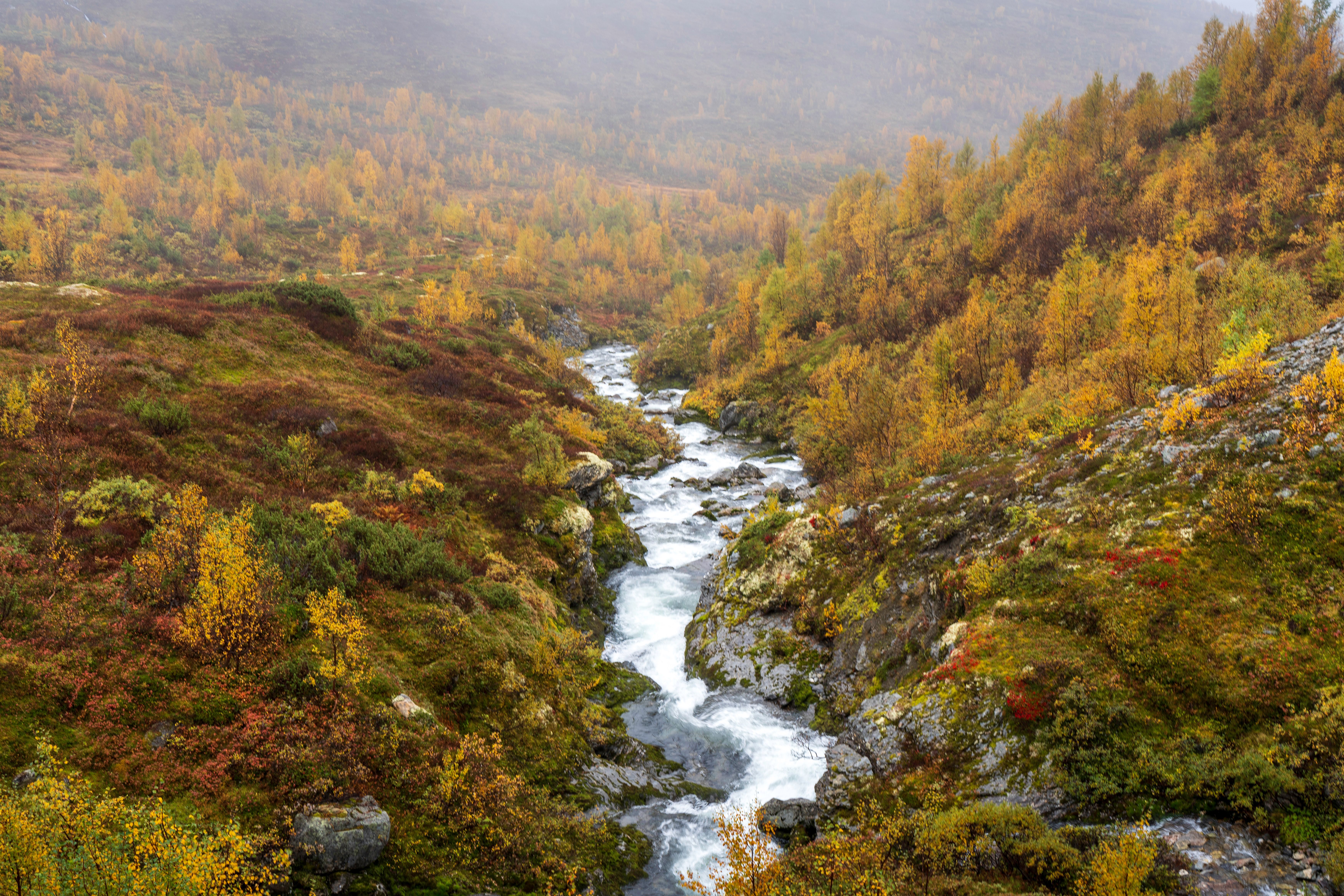Autumn Mountain Stream in Norwegian Landscape · Free Stock Photo