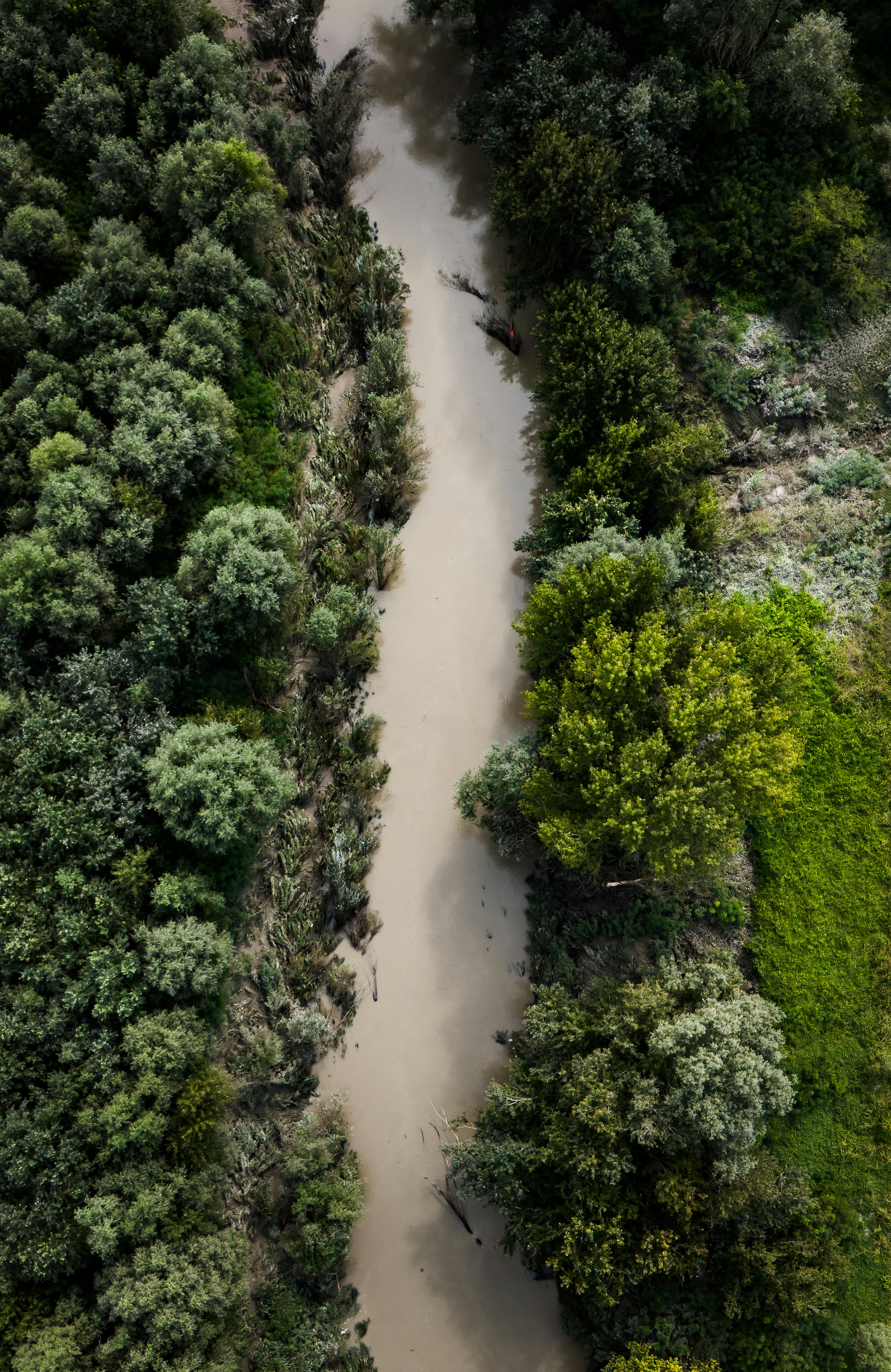 Aerial View of River and Lush Forest in Modena · Free Stock Photo